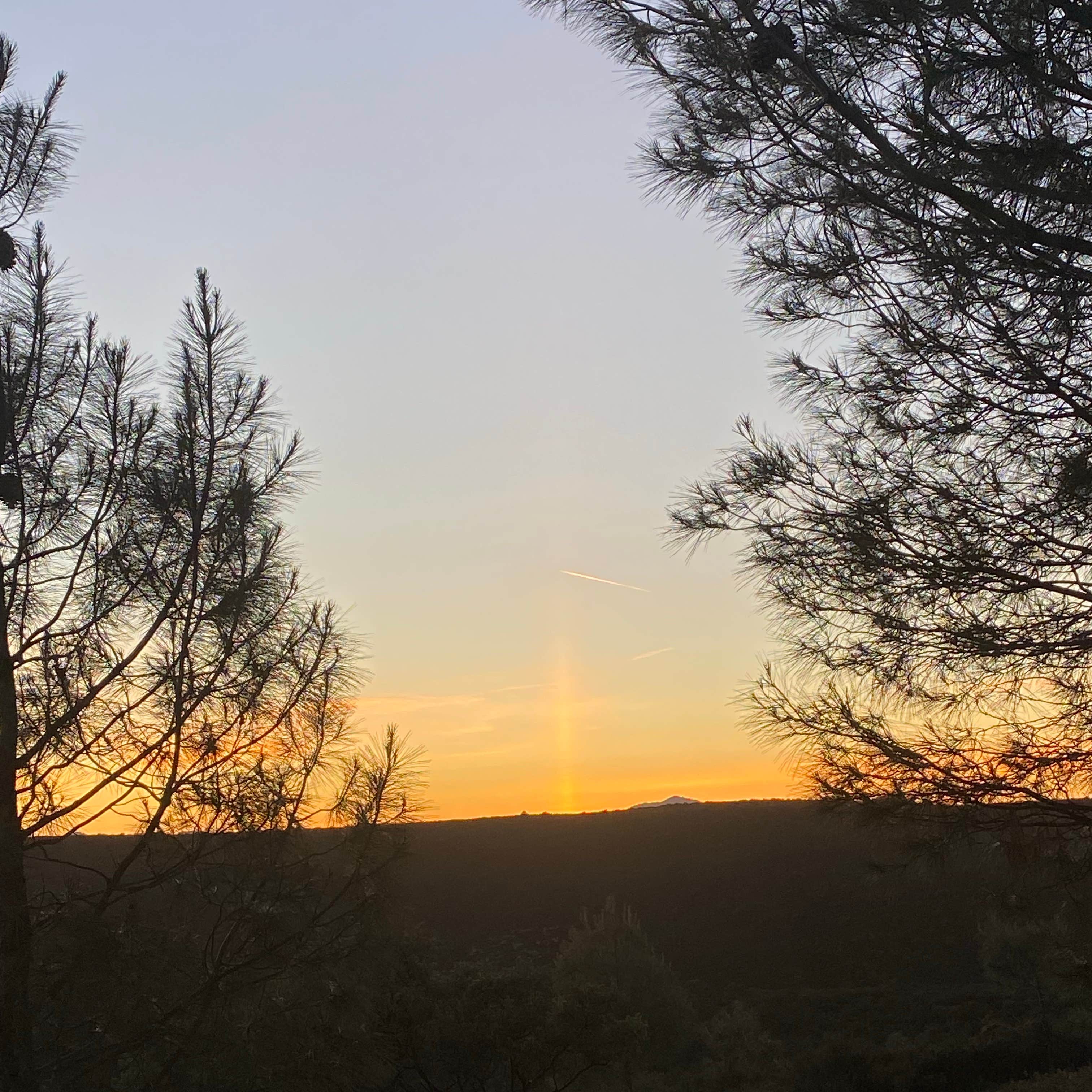 Williams Hill Recreation Area Camping | Bradley, CA