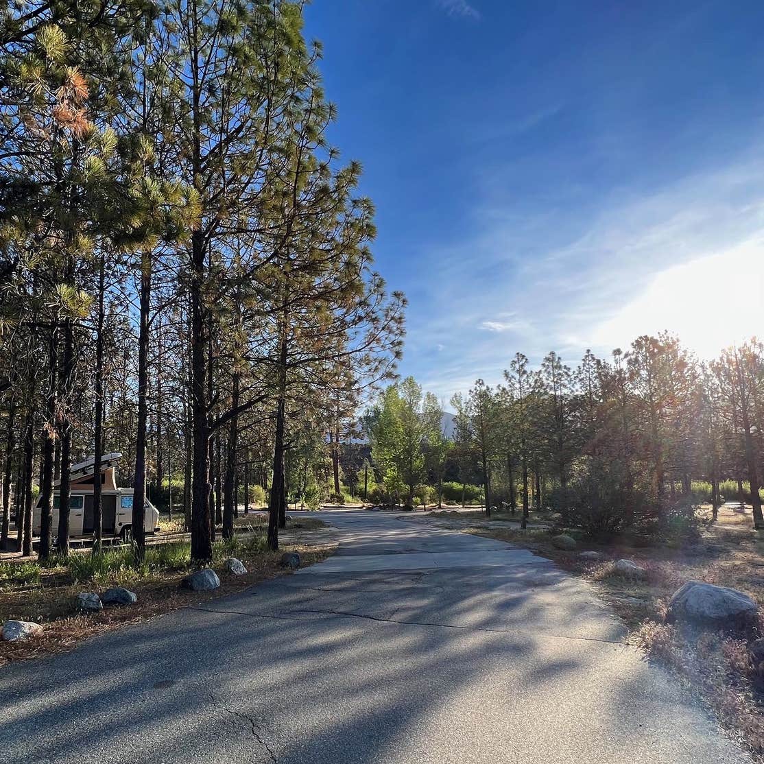 Hurkey Creek Park Camping | Mountain Center, California