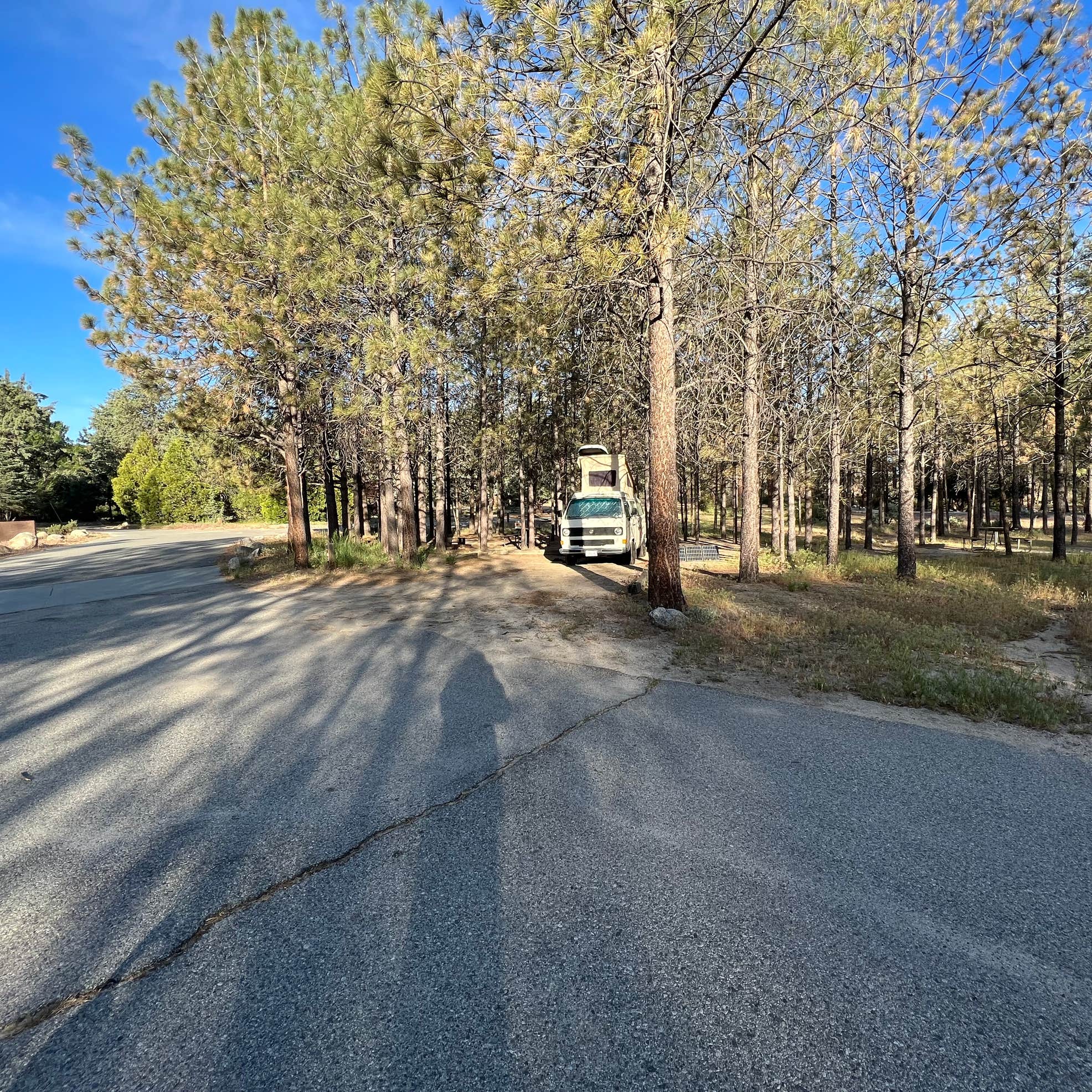 Hurkey Creek Park Camping | Mountain Center, California