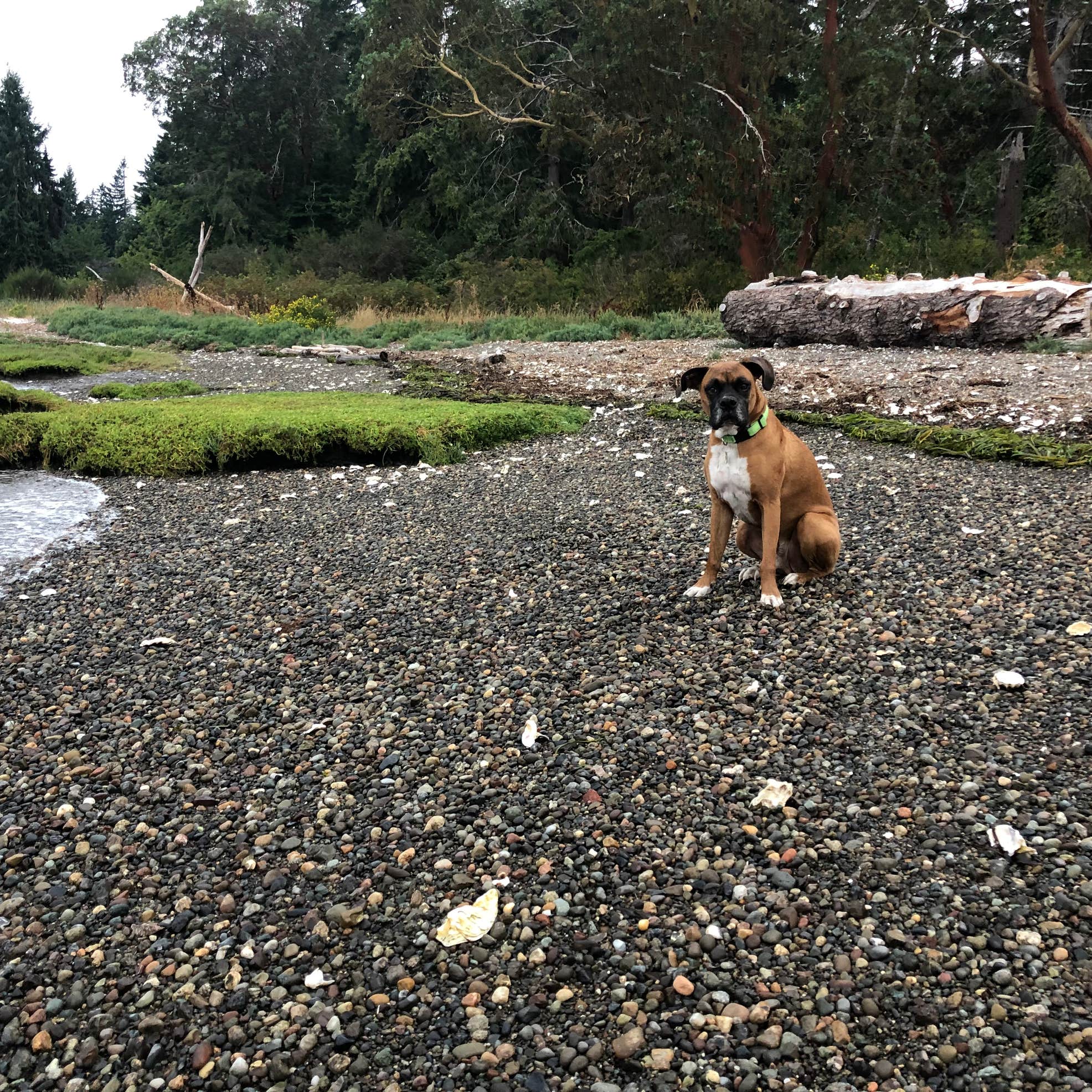Belfair State Park Campground | Belfair, Washington