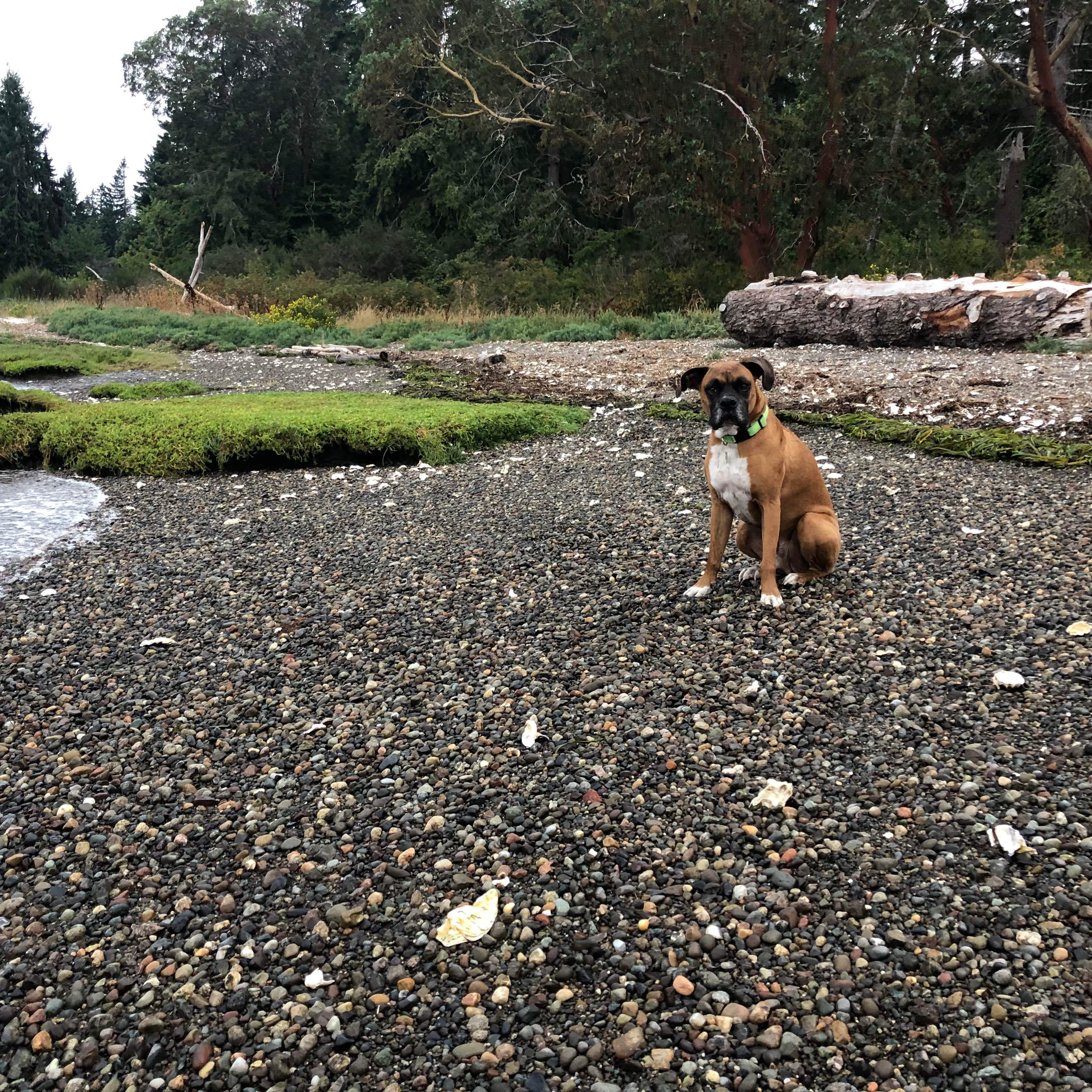 Belfair State Park Campground | Belfair, Washington