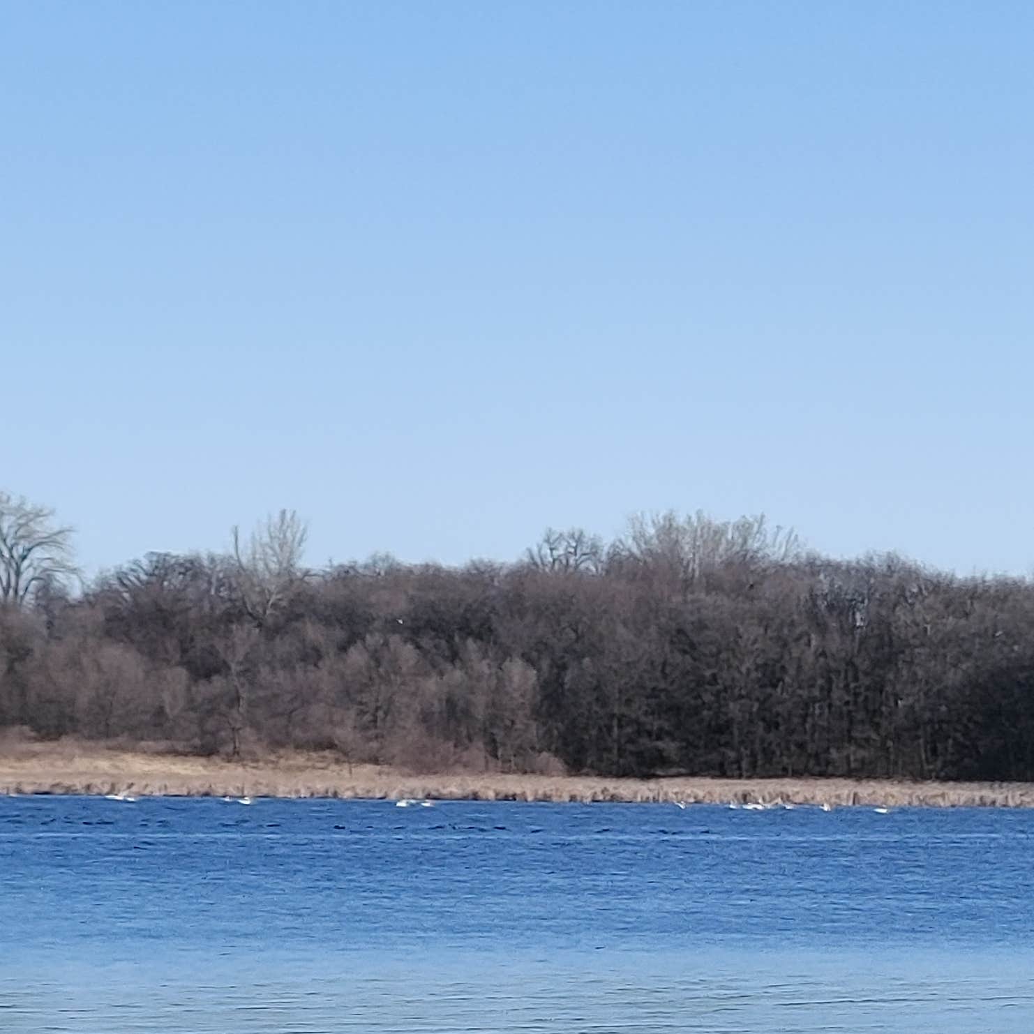 Lake Anita State Park Campground | Anita, Iowa