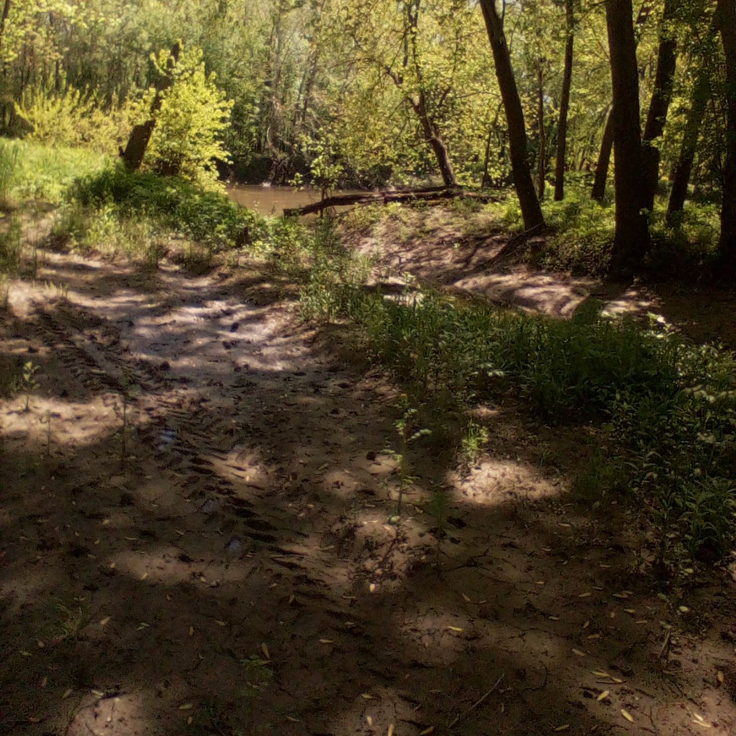 Fox Ridge State Park Campground | Charleston, Illinois