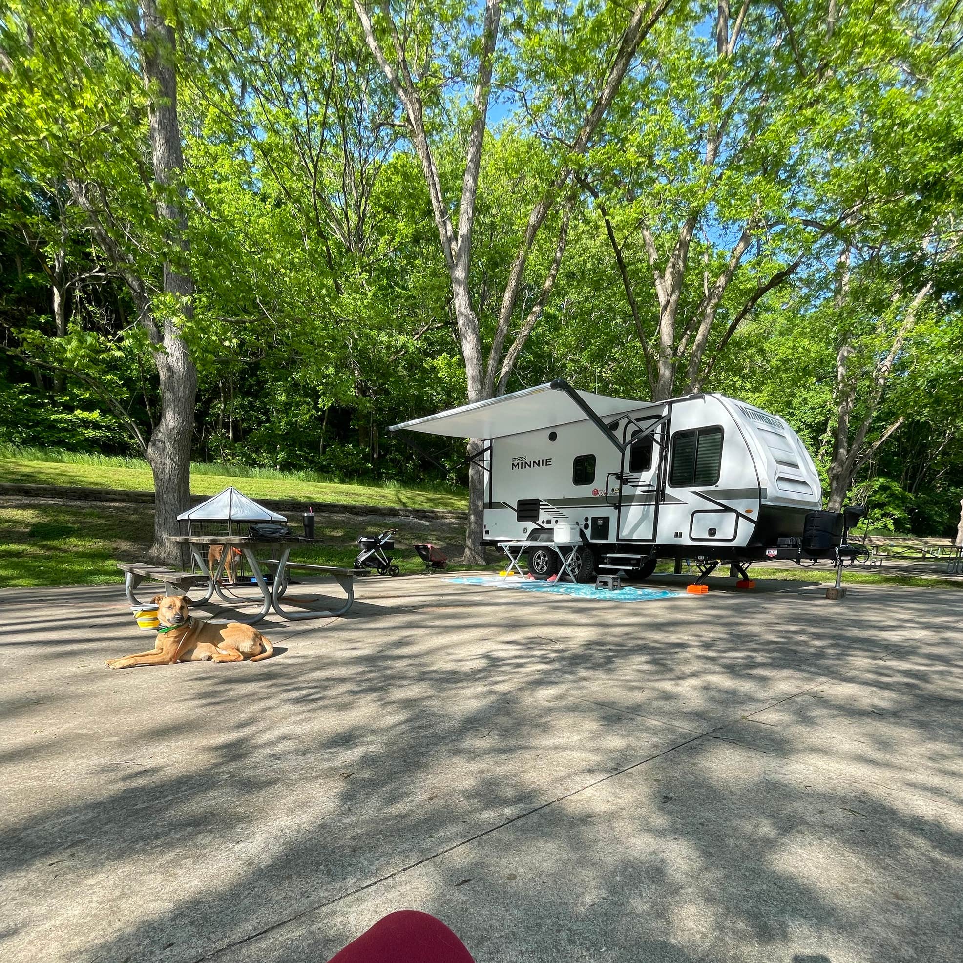 COE Cheatham Lake Lock A Campground | Ashland city, TN