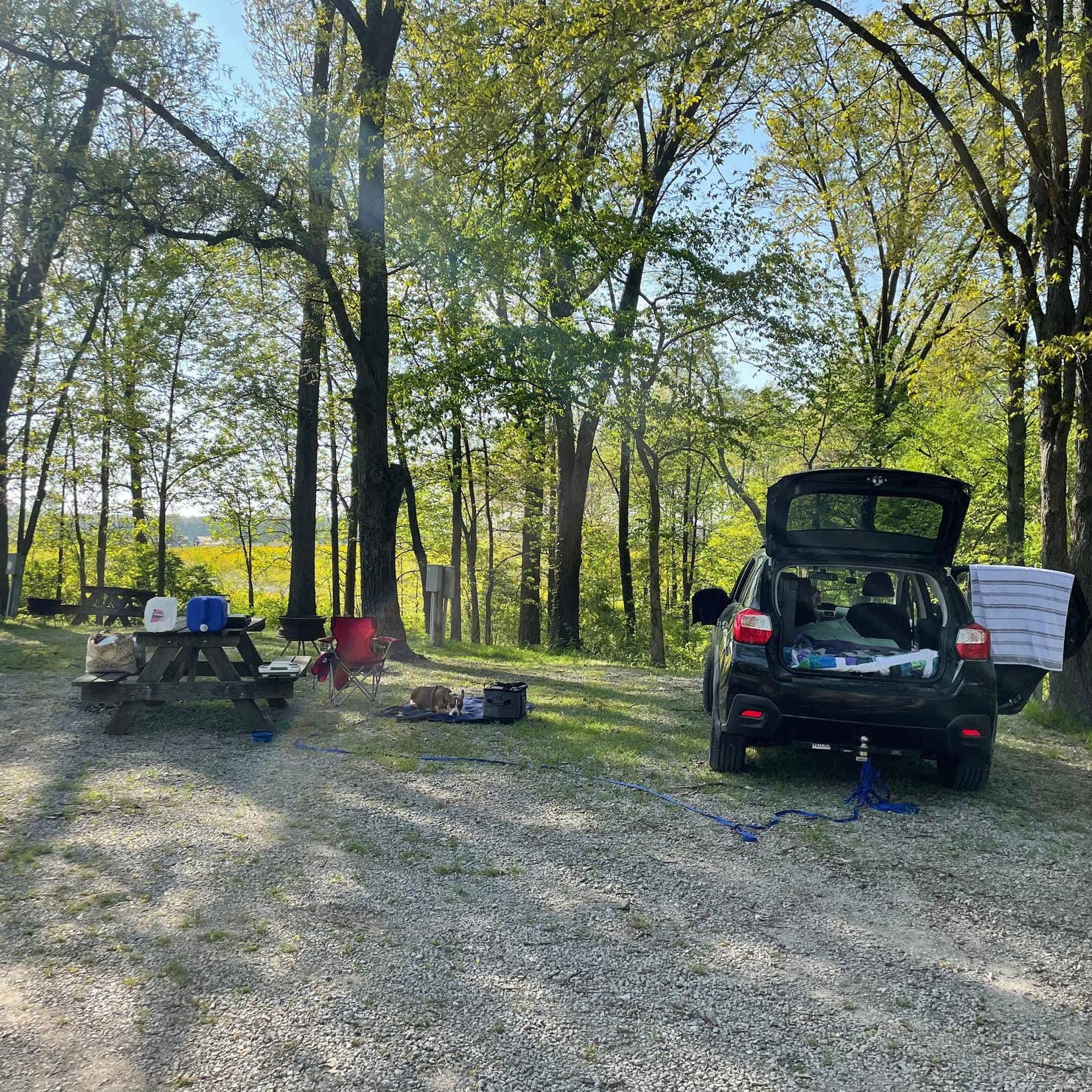 Spring Creek Campground Camping | The Dyrt