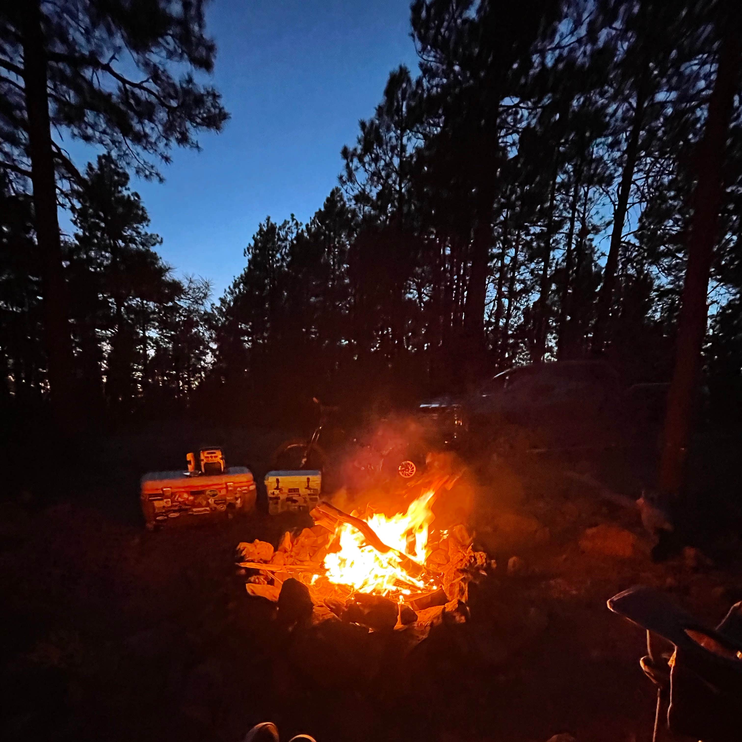 Blue Ridge Reservoir Camping | Happy Jack, Arizona