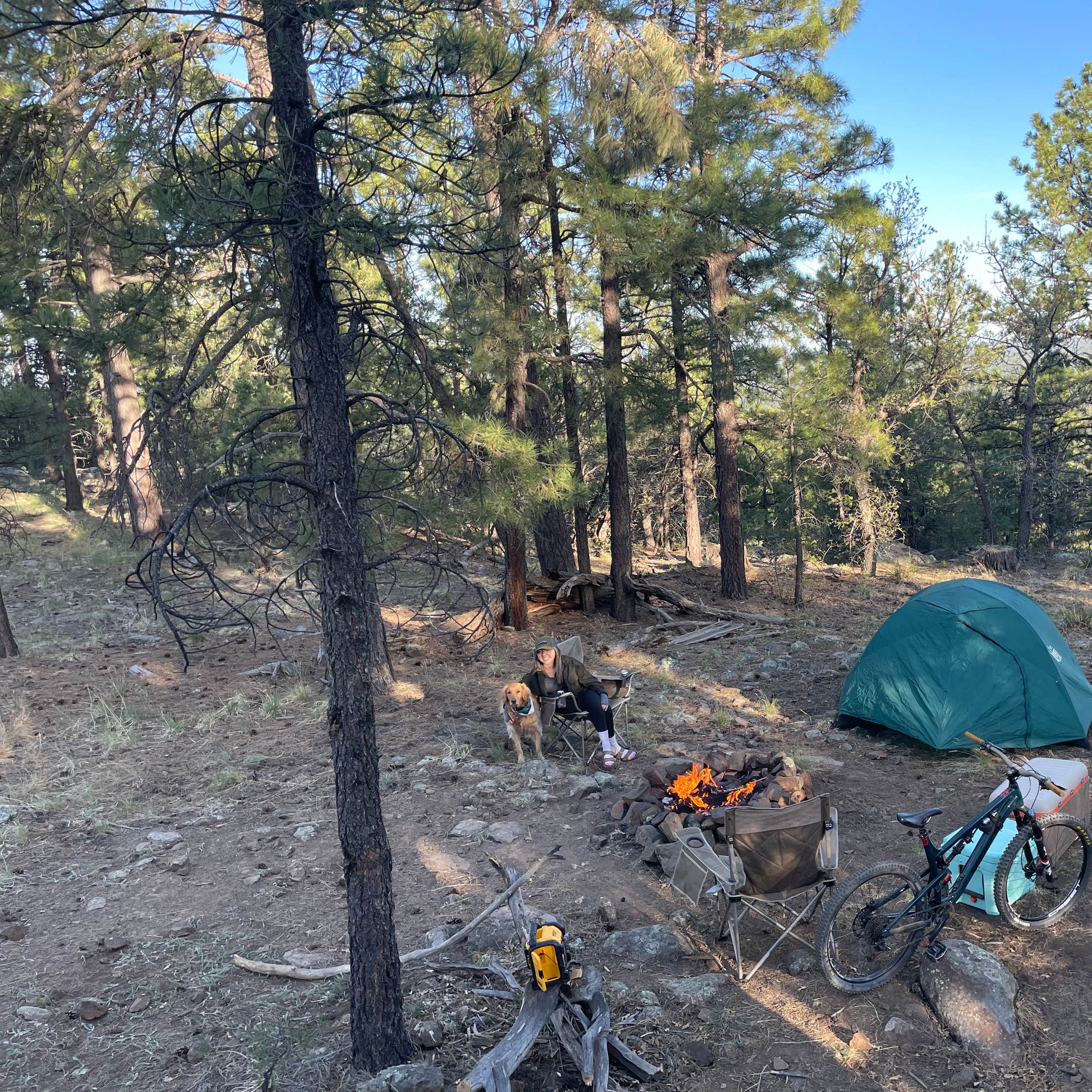 Blue Ridge Reservoir Camping | Happy Jack, Arizona