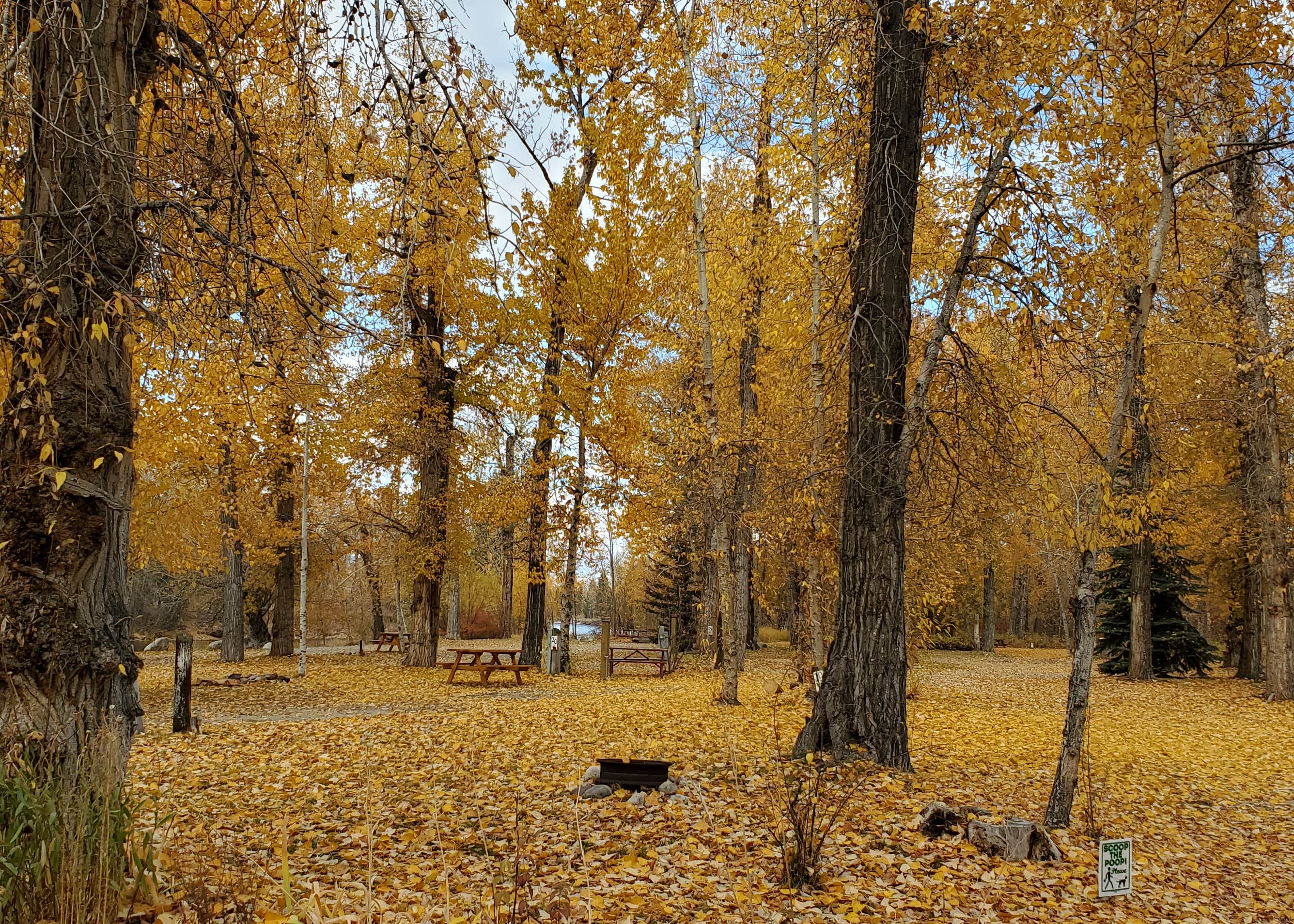 Anglers Roost Campground Camping | The Dyrt