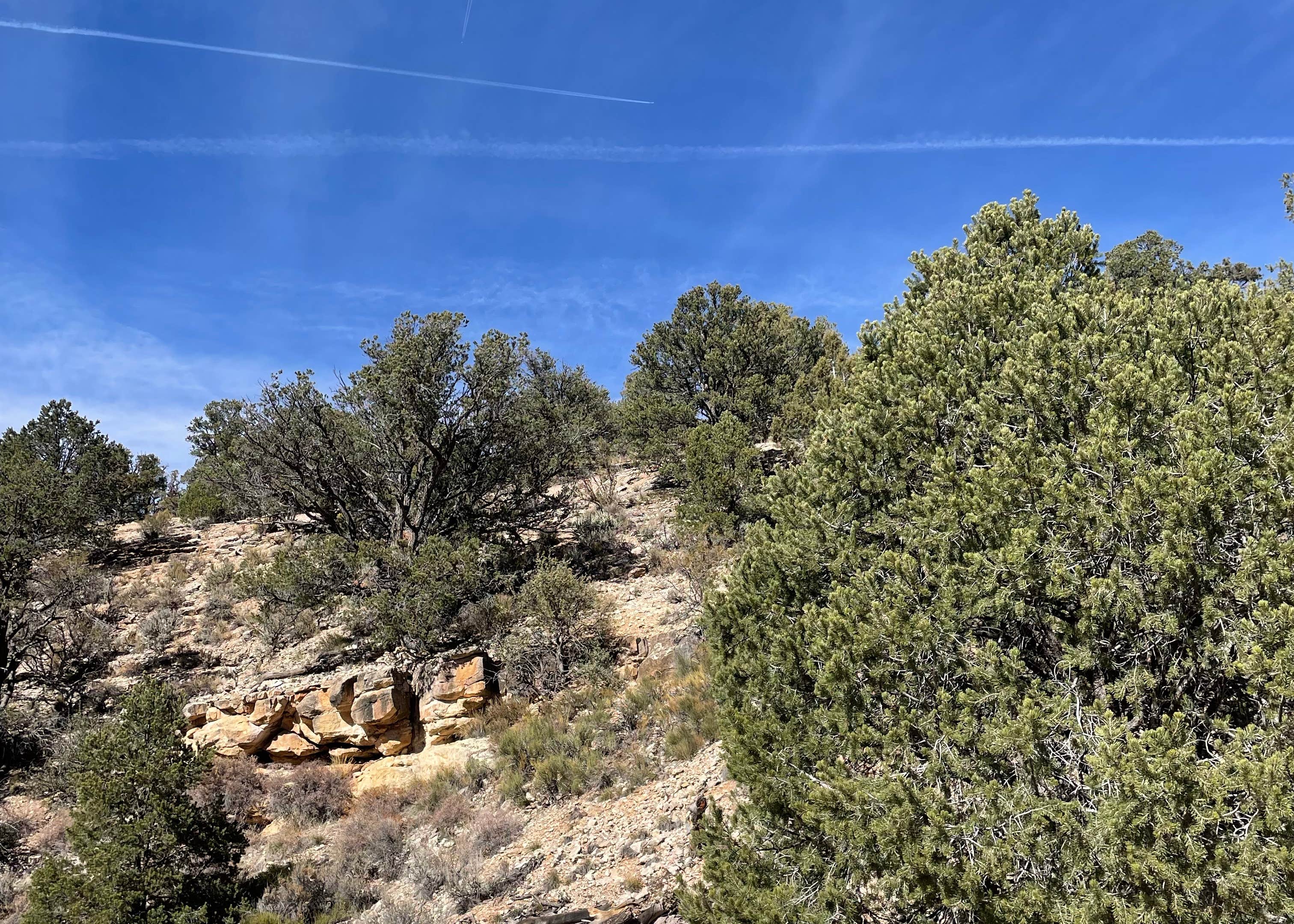 Indian Hollow Campground Camping | The Dyrt