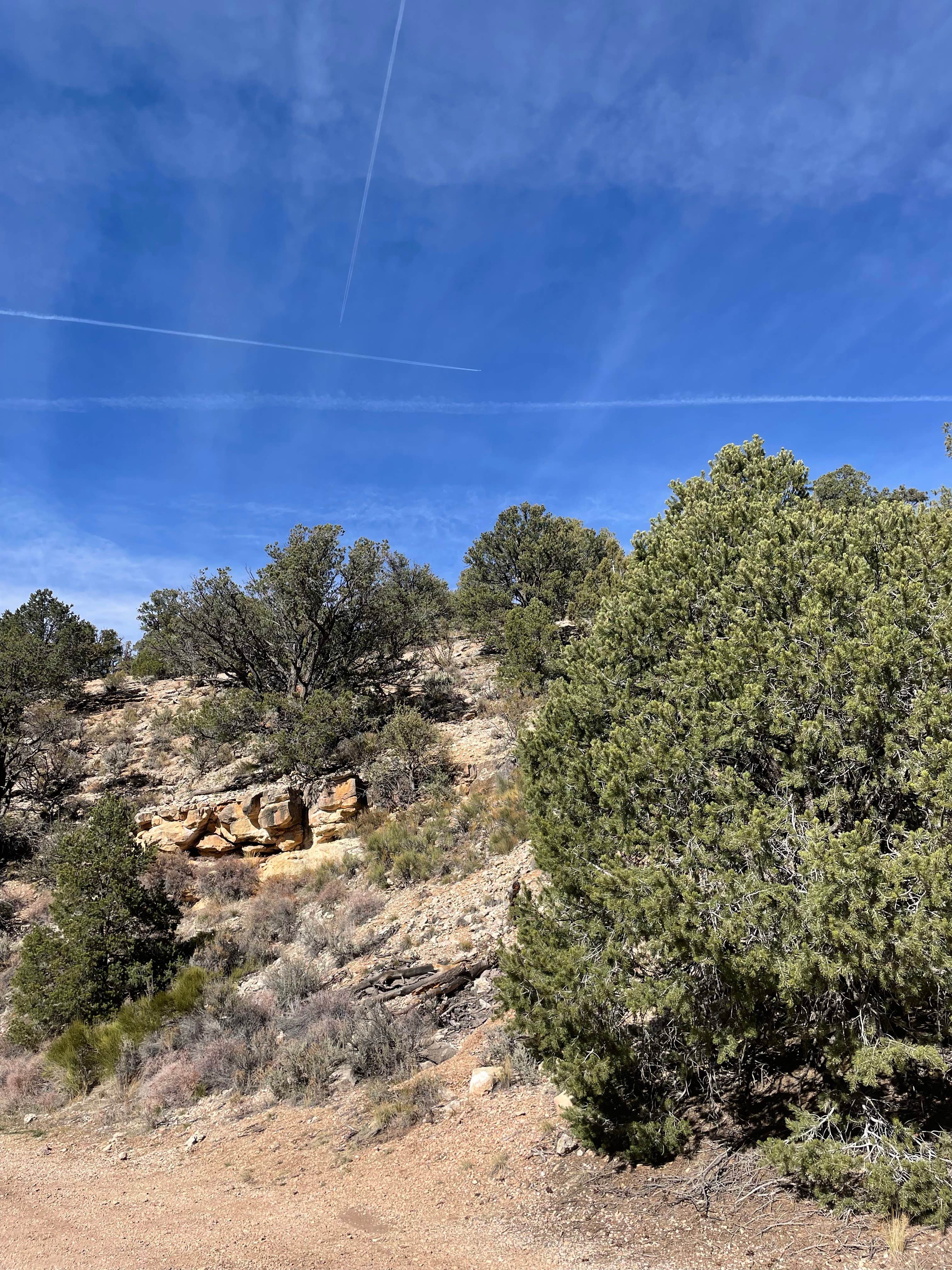 Indian Hollow Campground | North Rim, AZ