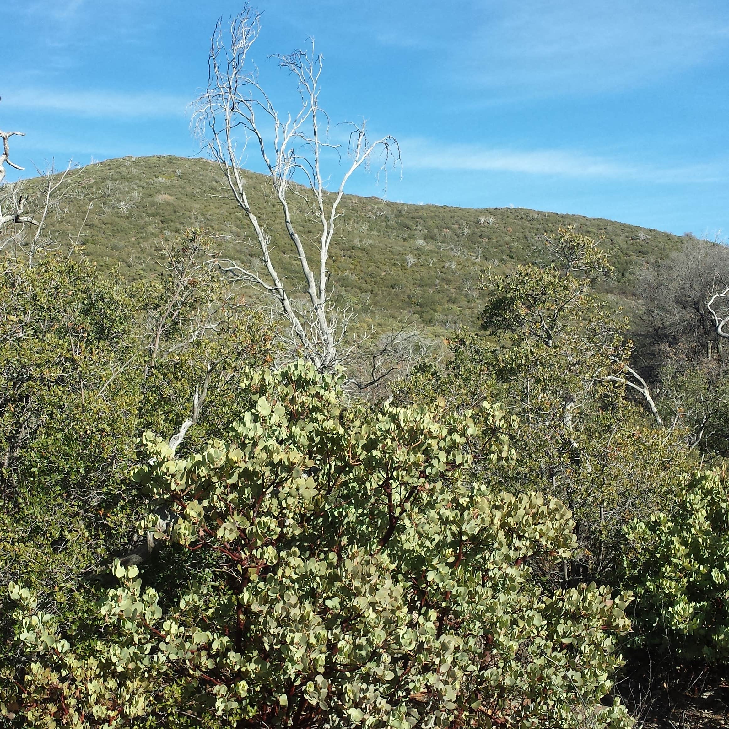 William Heise County Park Camping | Julian, CA | The Dyrt