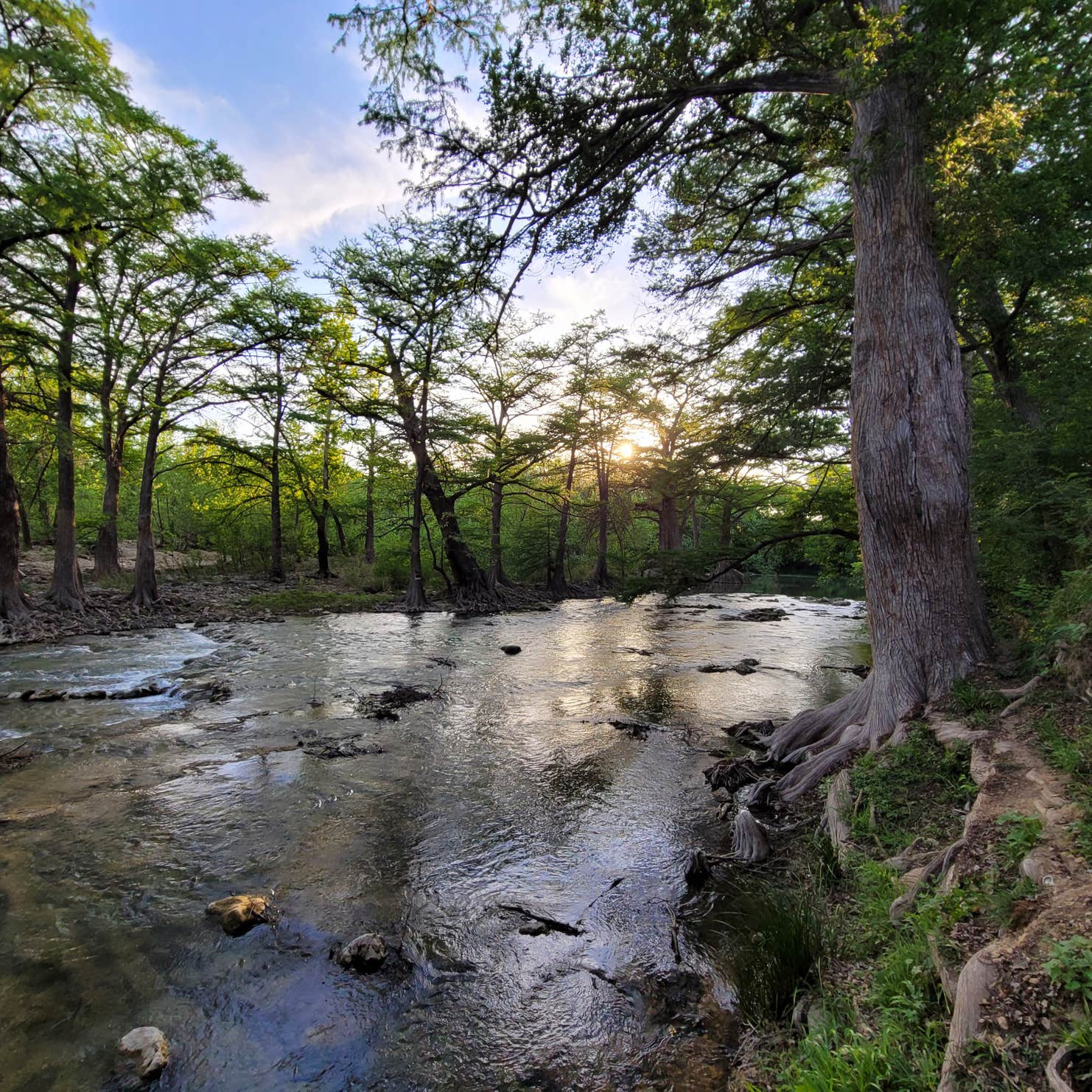 Lazy L & L Campground | New Braunfels, TX