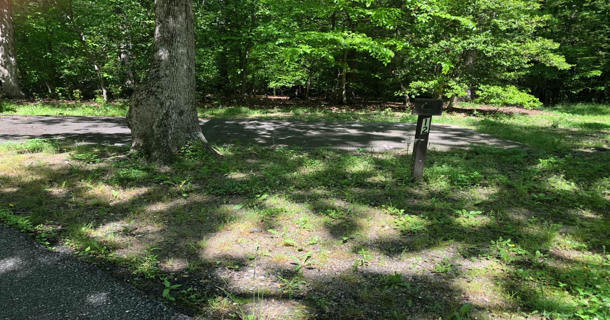 Louise F. Cosca Regional Park Camping | The Dyrt