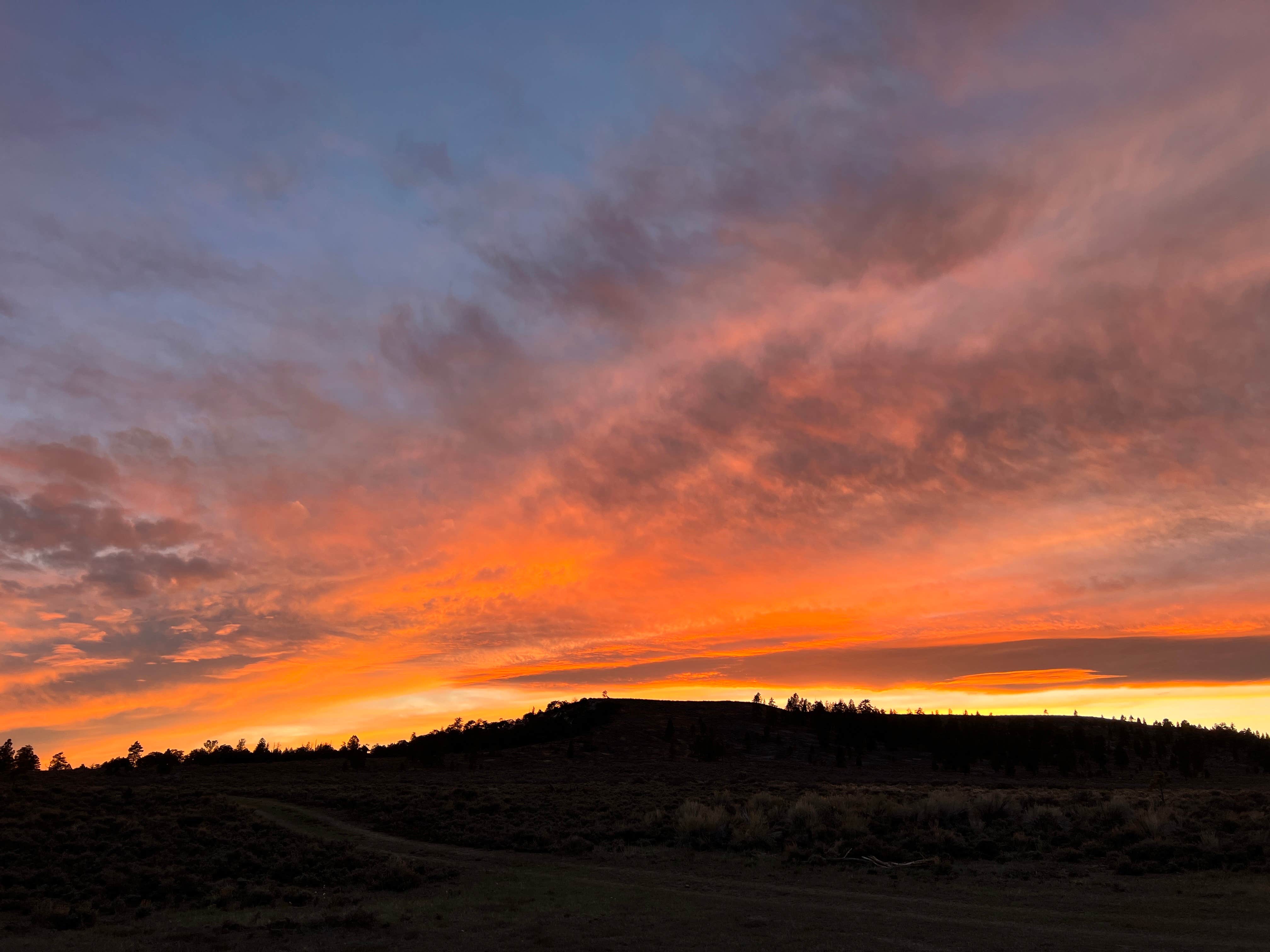 Top 10+ Dispersed Free Camping in Utah: BLM, USFS