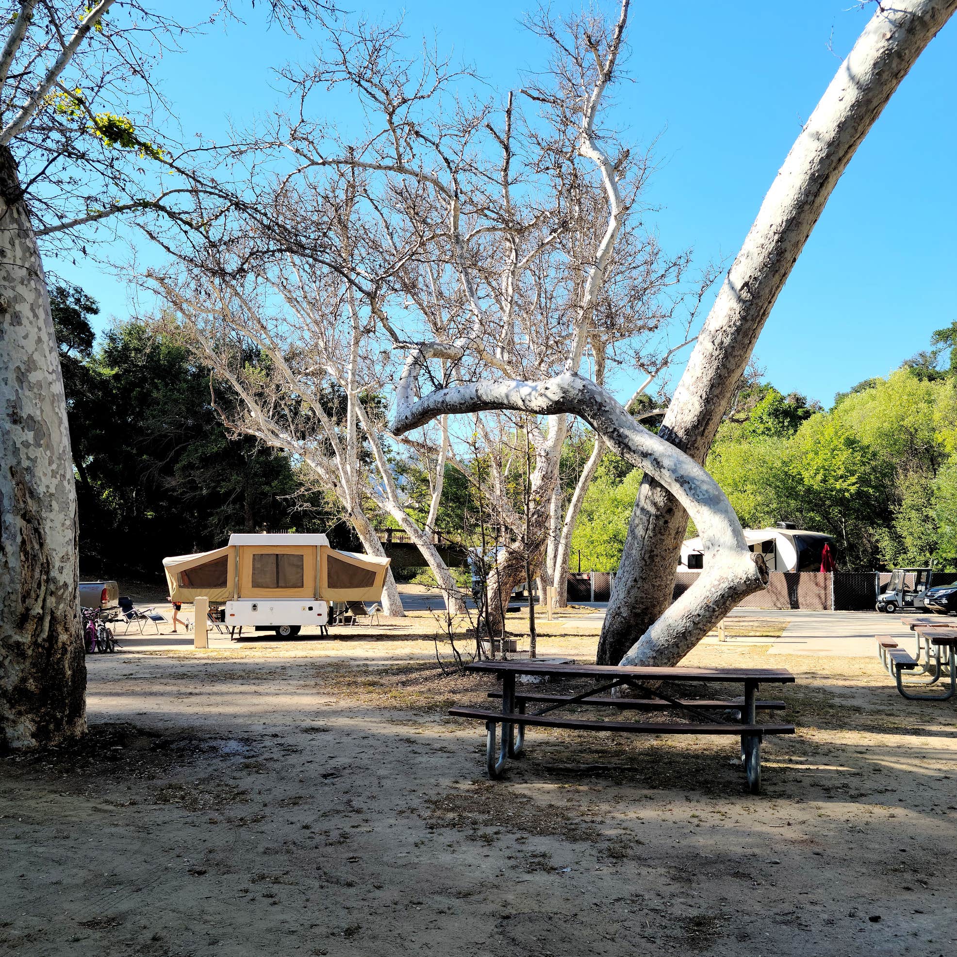 Camp Comfort Park | Ojai, California
