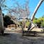 Camp Comfort Park | Ojai, California
