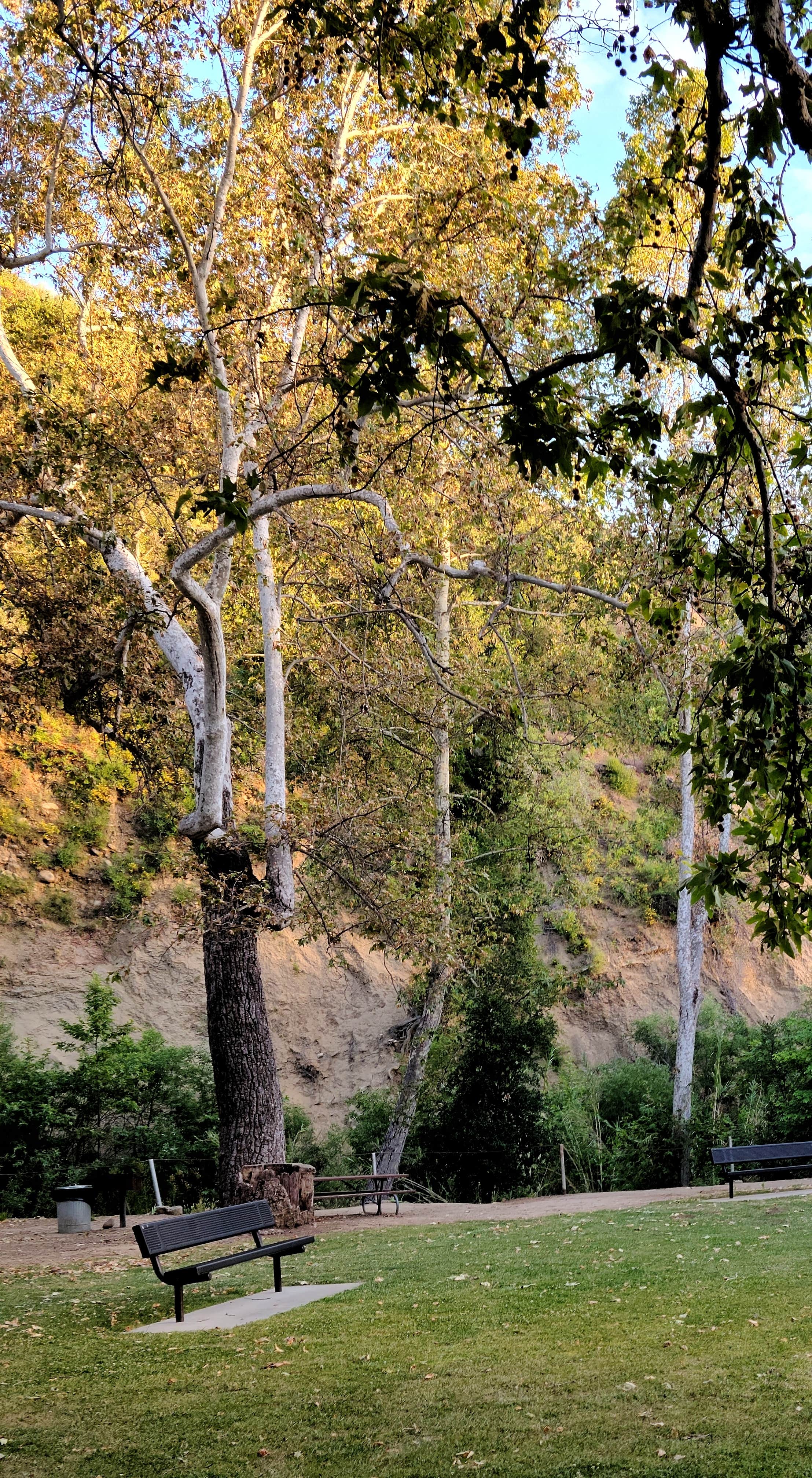 Camp Comfort Park | Ojai, California