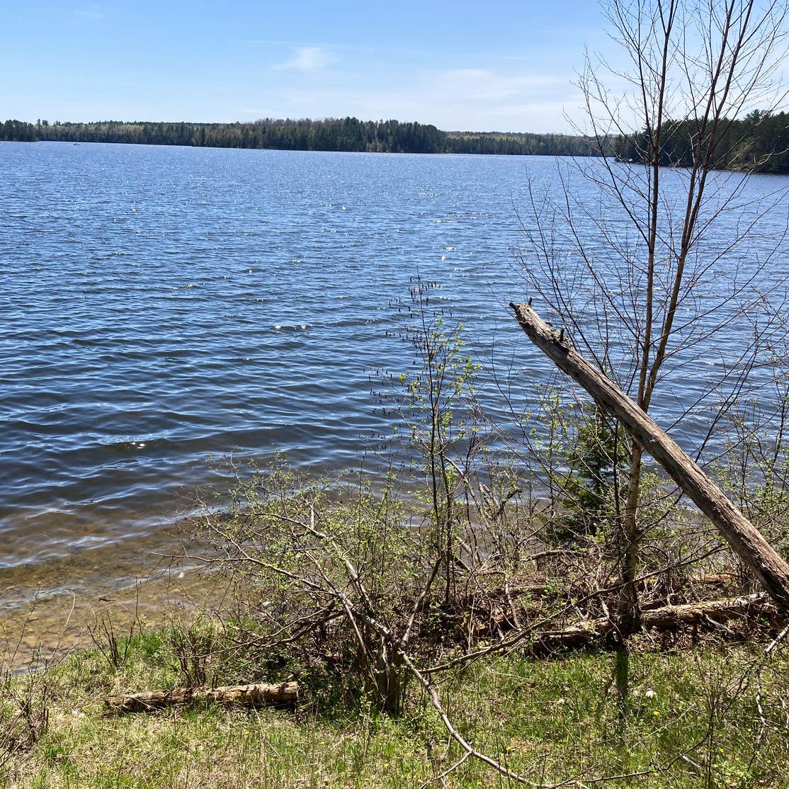 Alcona Park Camping | South Branch, MI