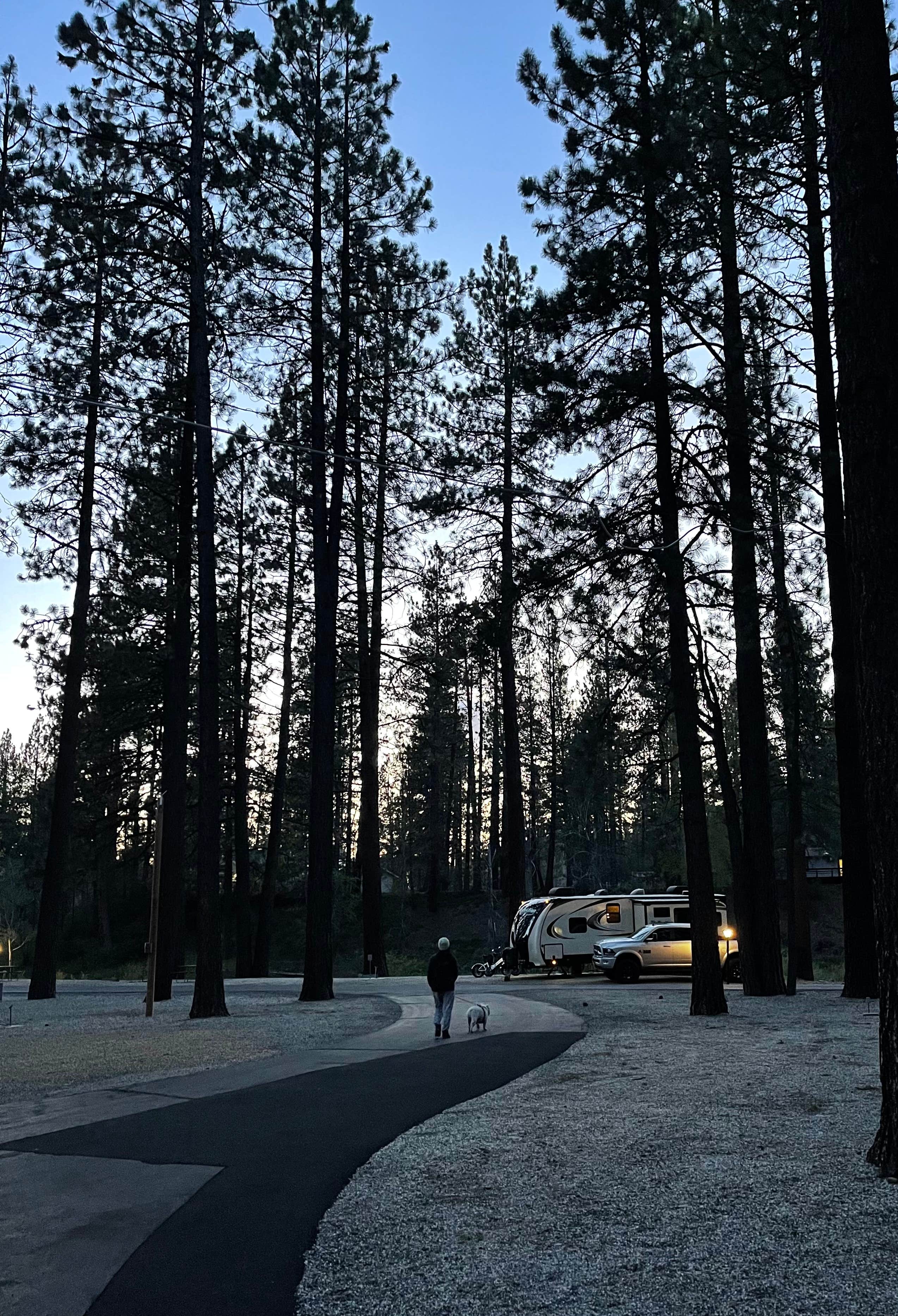 THE 10+ BEST Campgrounds near Graeagle, CA