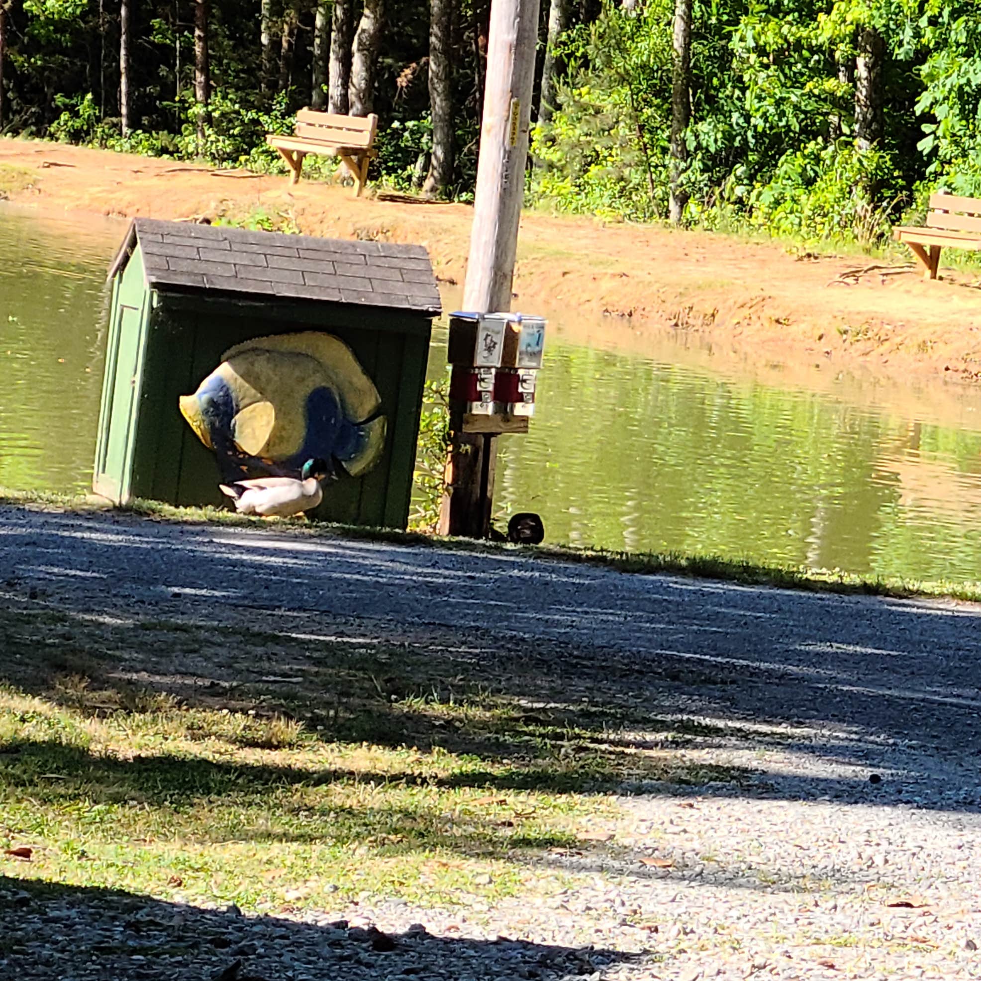 Pine Ridge Campground | Pauline, South Carolina