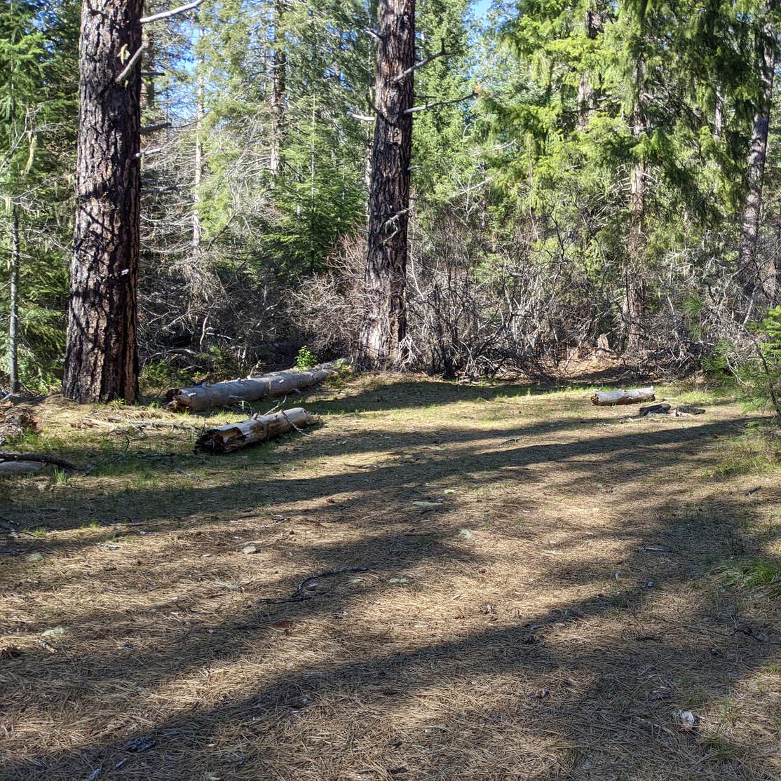Union Creek Trail USFS Dispersed Camping | The Dyrt