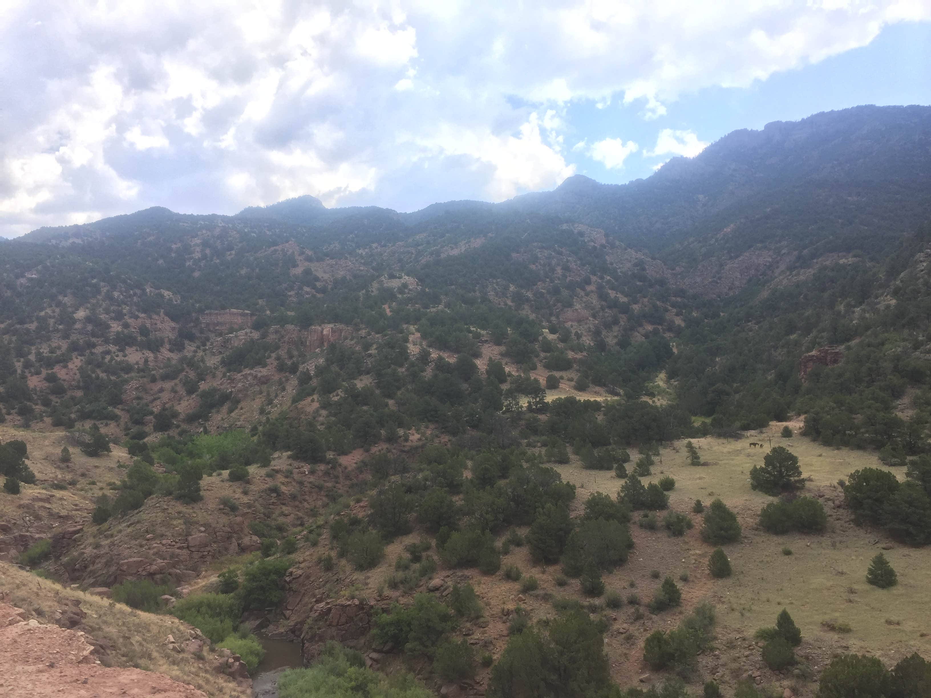 Sand Gulch Campground | The Dyrt