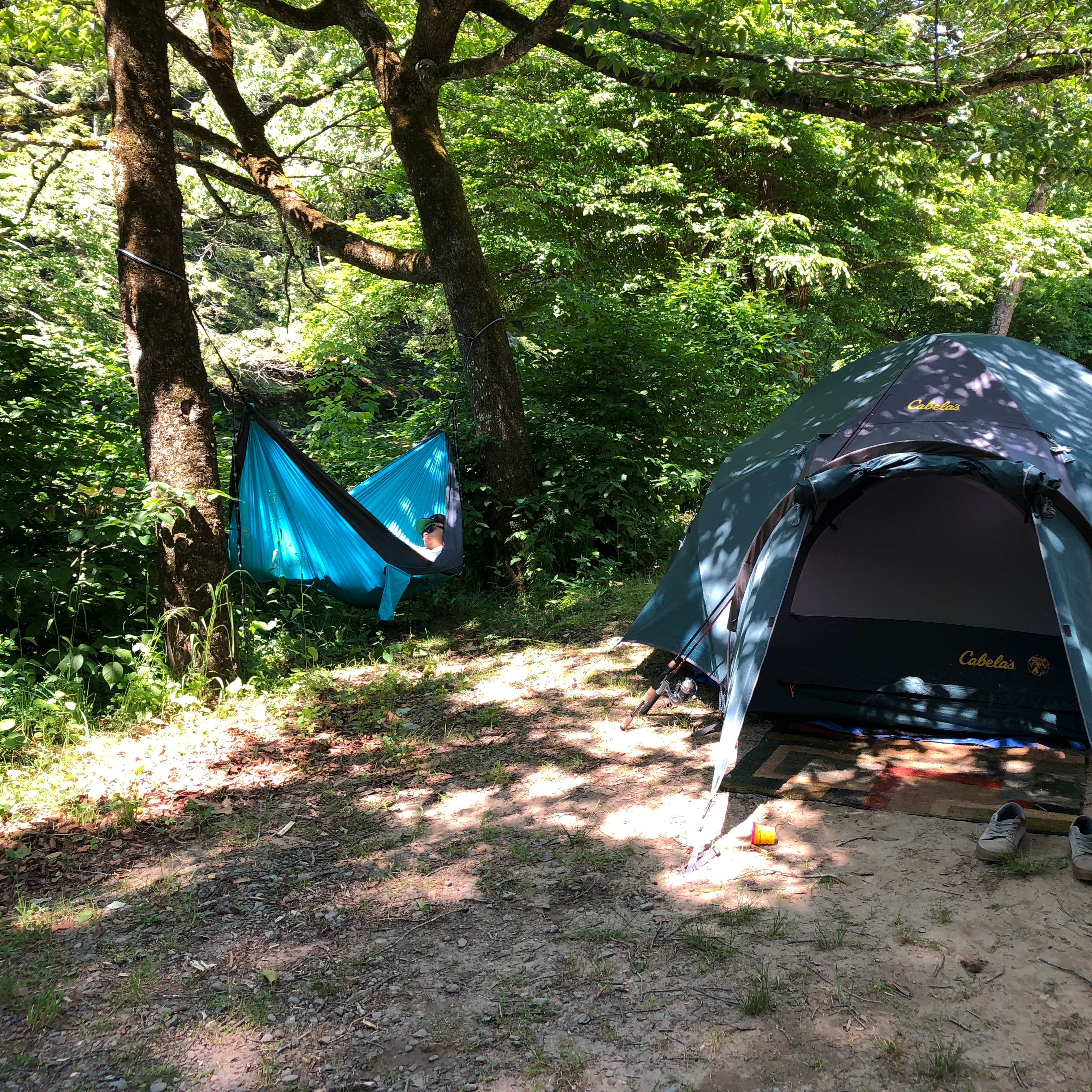 Beaverkill Campground | Roscoe, New York