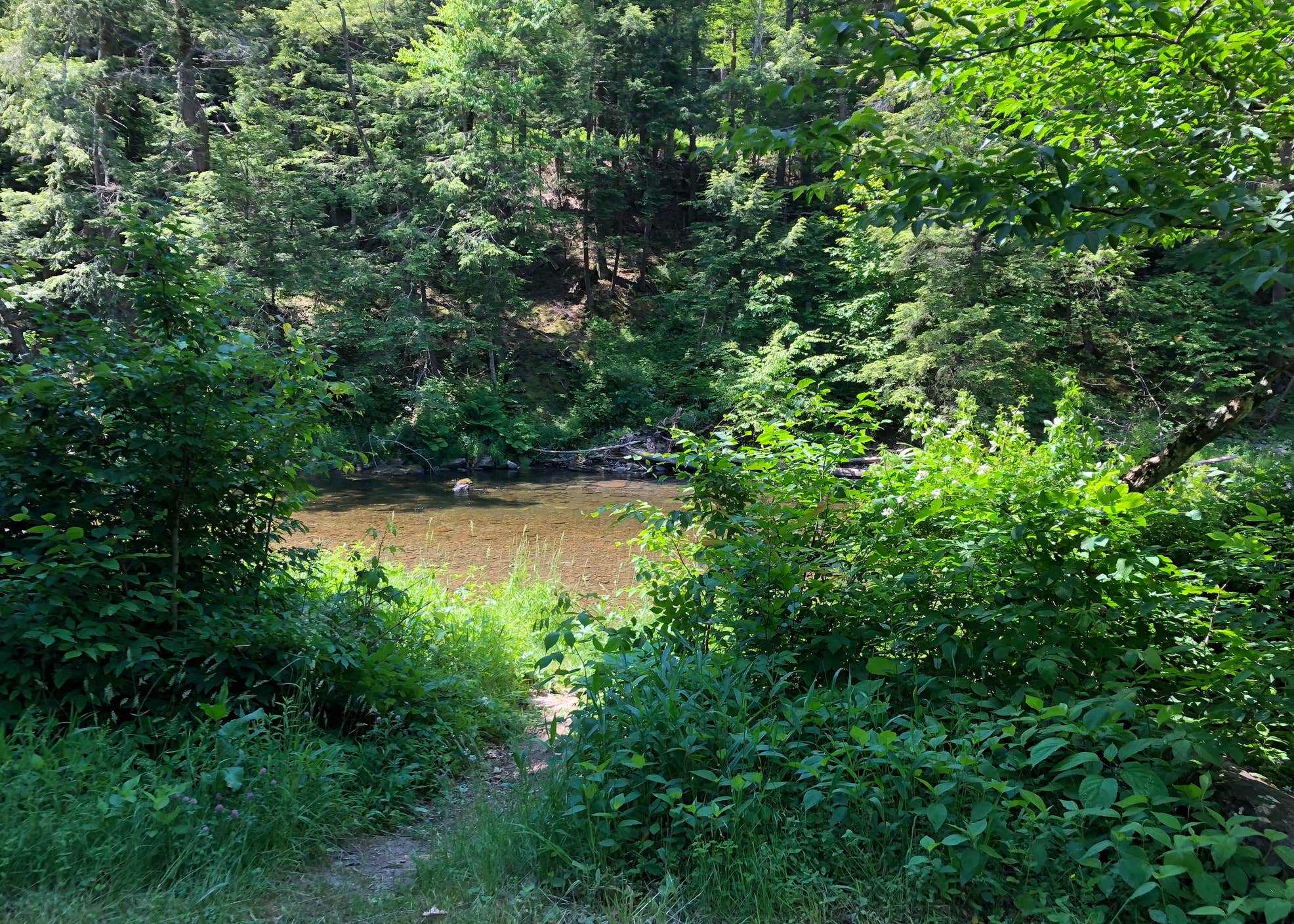 Beaverkill Campground Camping | The Dyrt