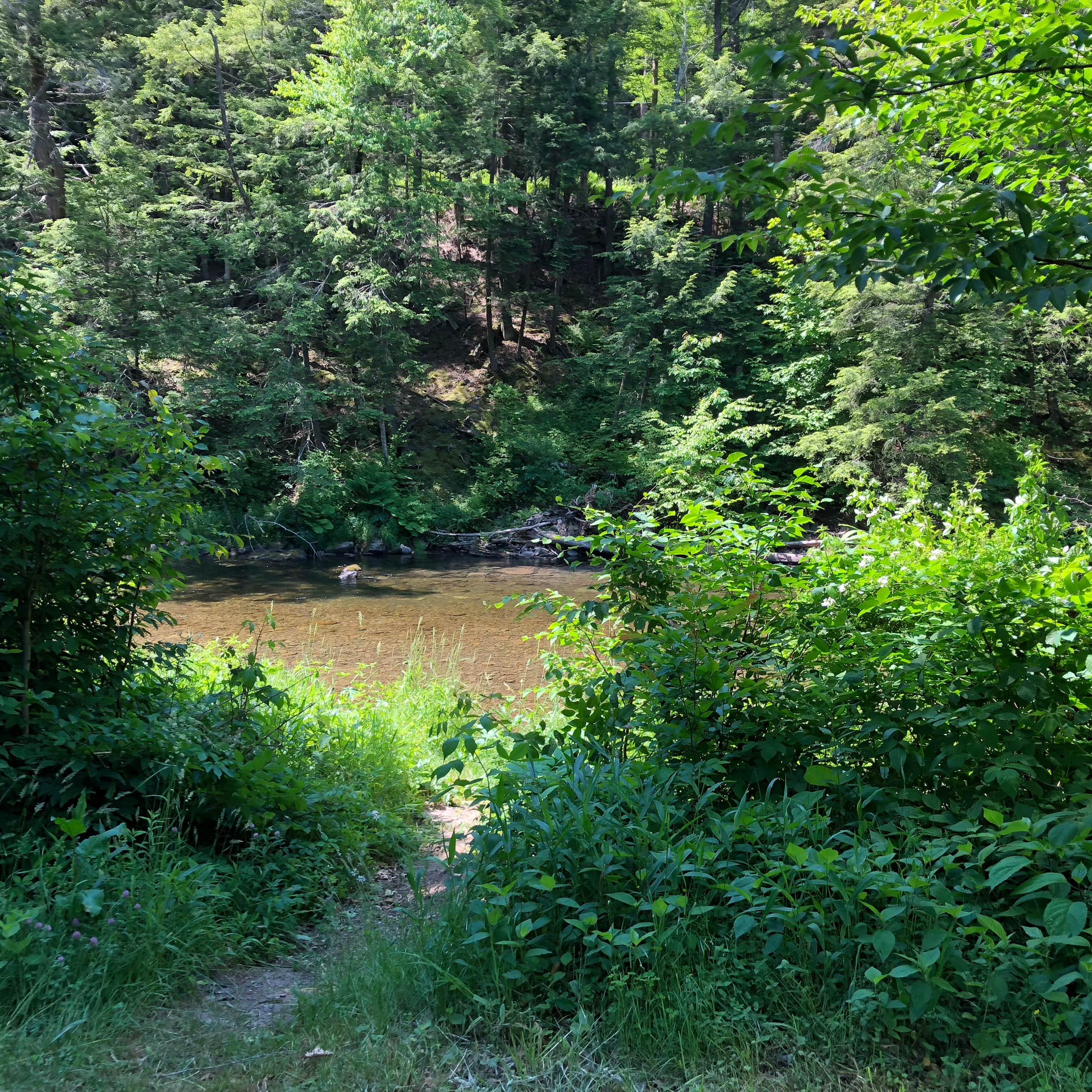 Beaverkill Campground | Roscoe, New York