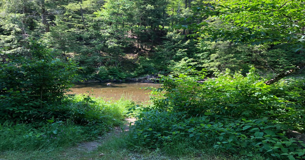 Beaverkill Campground | Roscoe, New York