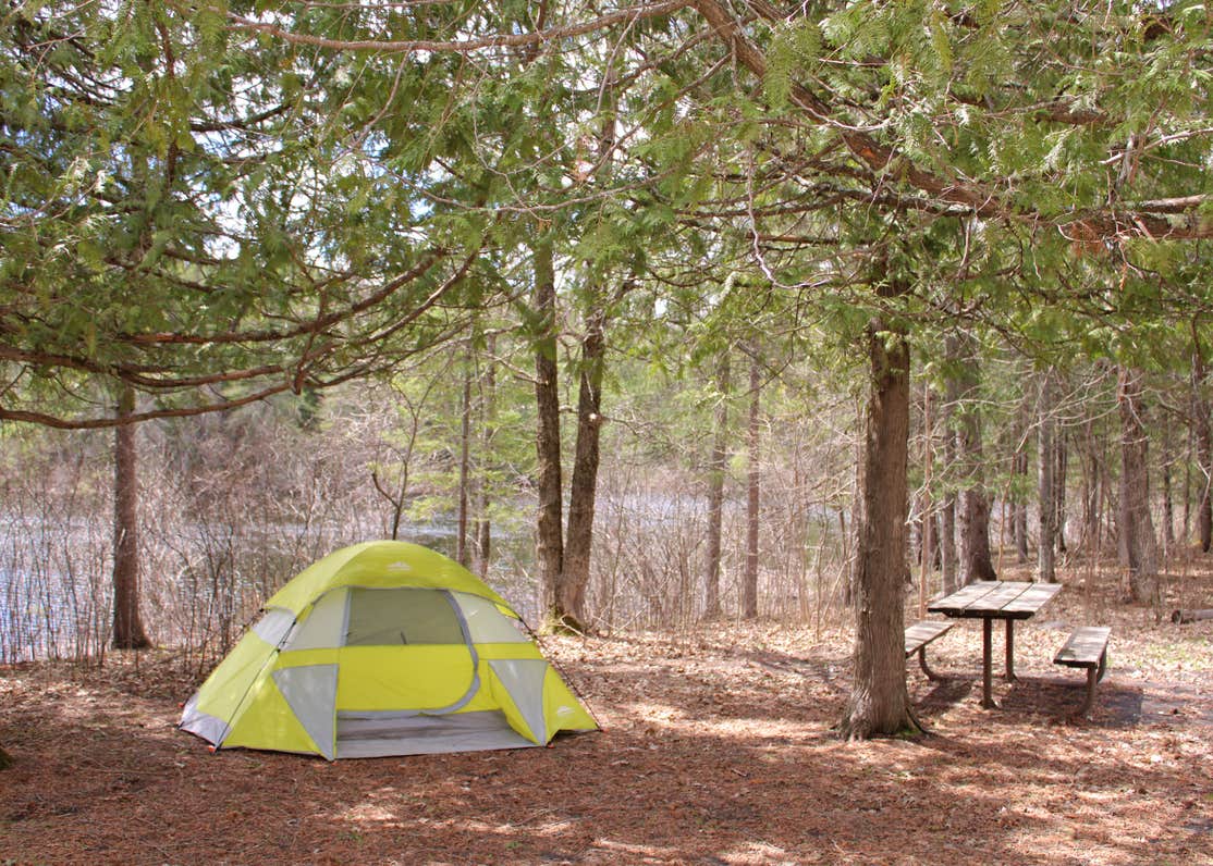 Ash River Campground Camping | The Dyrt