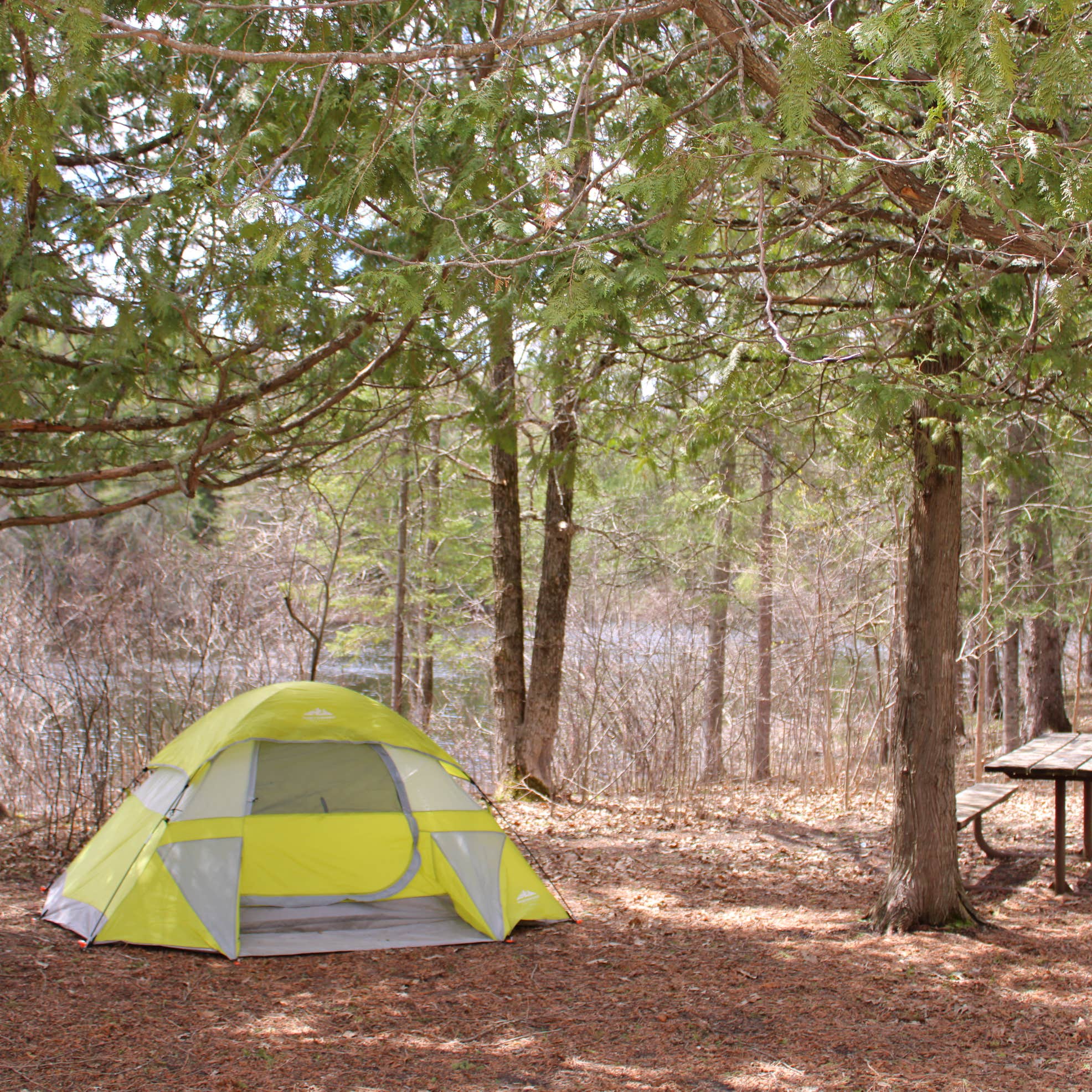 Ash River Campground | Voyageurs National Park, Minnesota