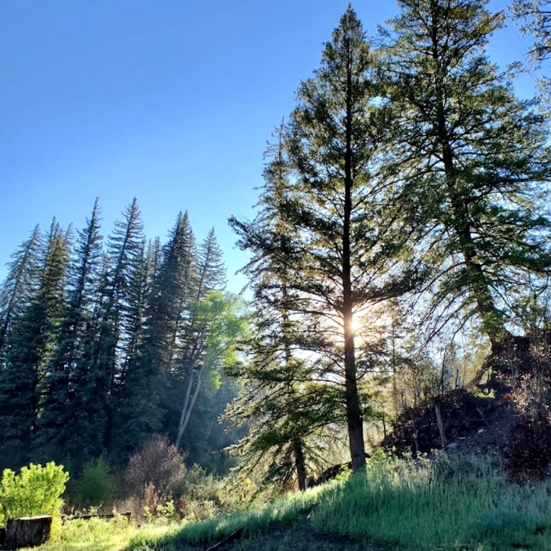 Blanco River Group Campground | Chromo, Colorado