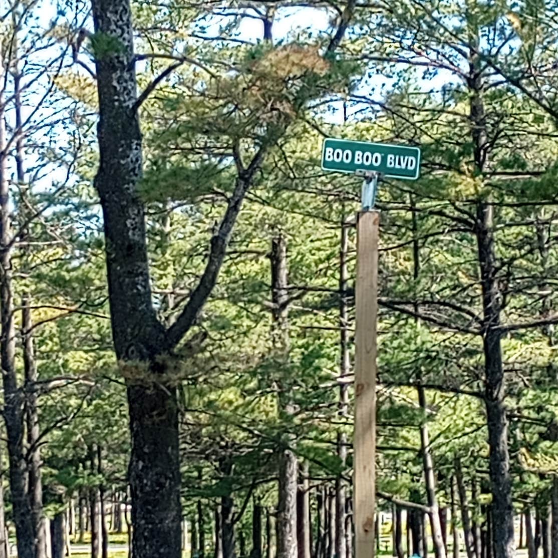 Jellystone Park Warrens Camping | Warrens, Wisconsin