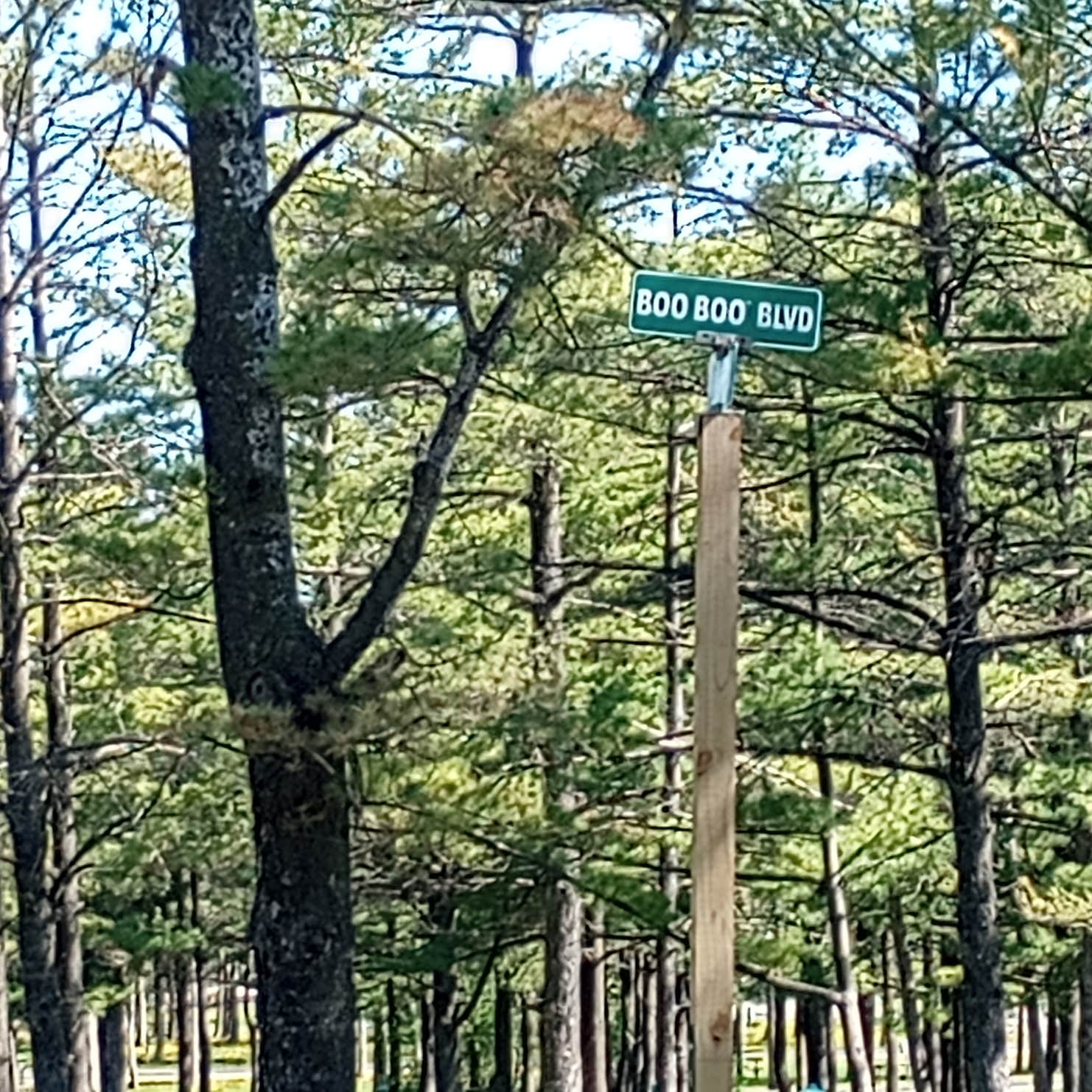Jellystone Park Warrens Camping | Warrens, Wisconsin