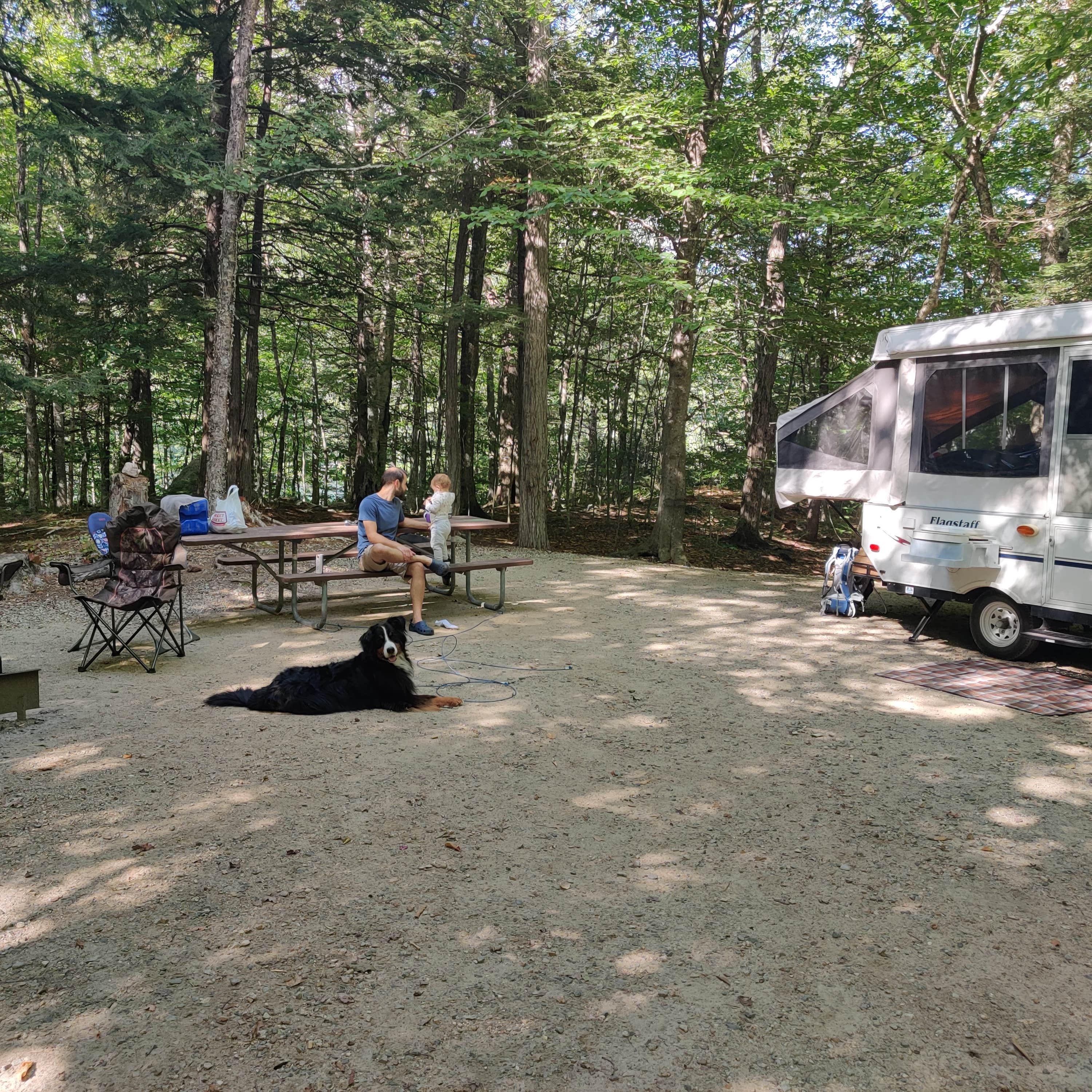 Basin Campground | Chatham, NH