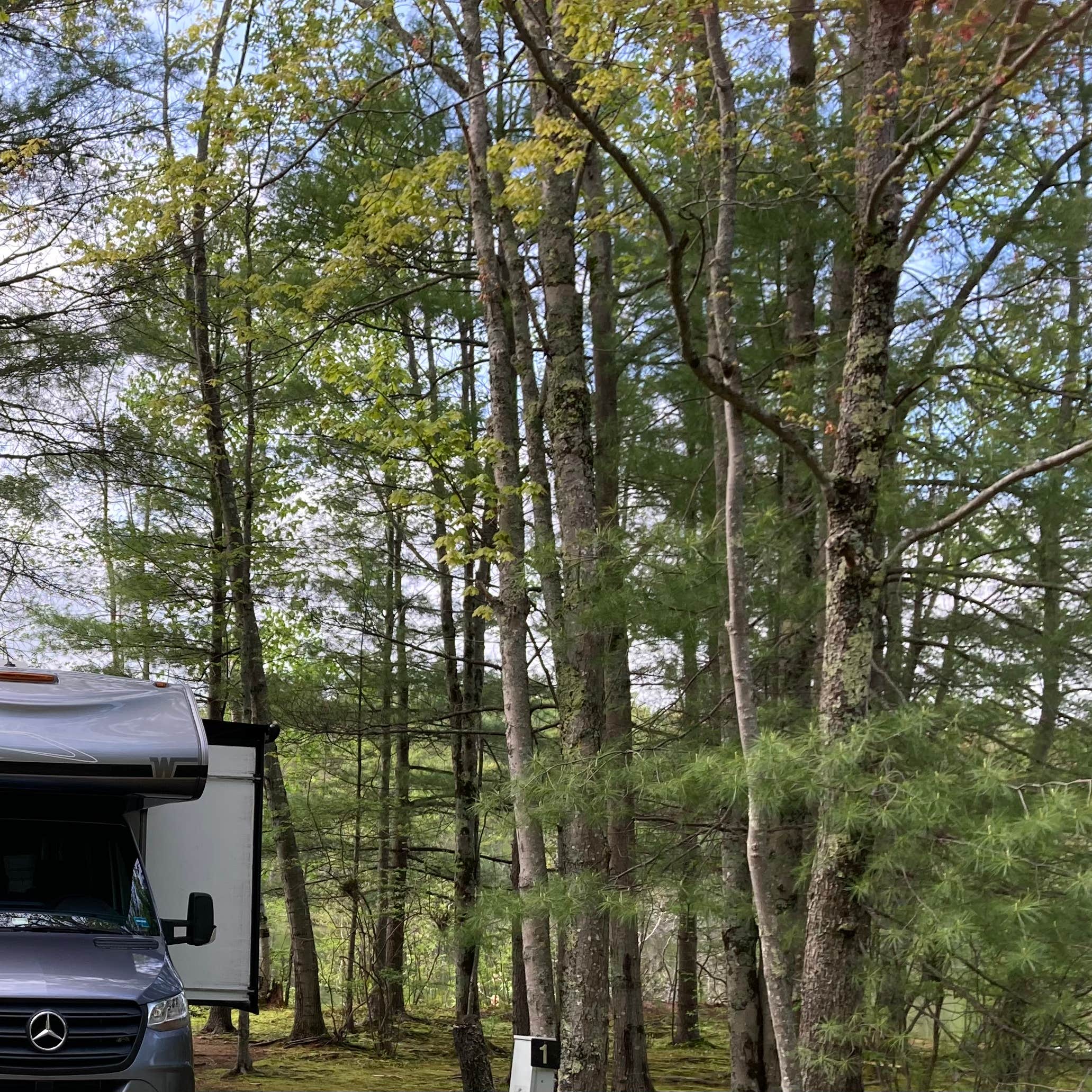 Beaver Dam Campground | North Berwick, Maine