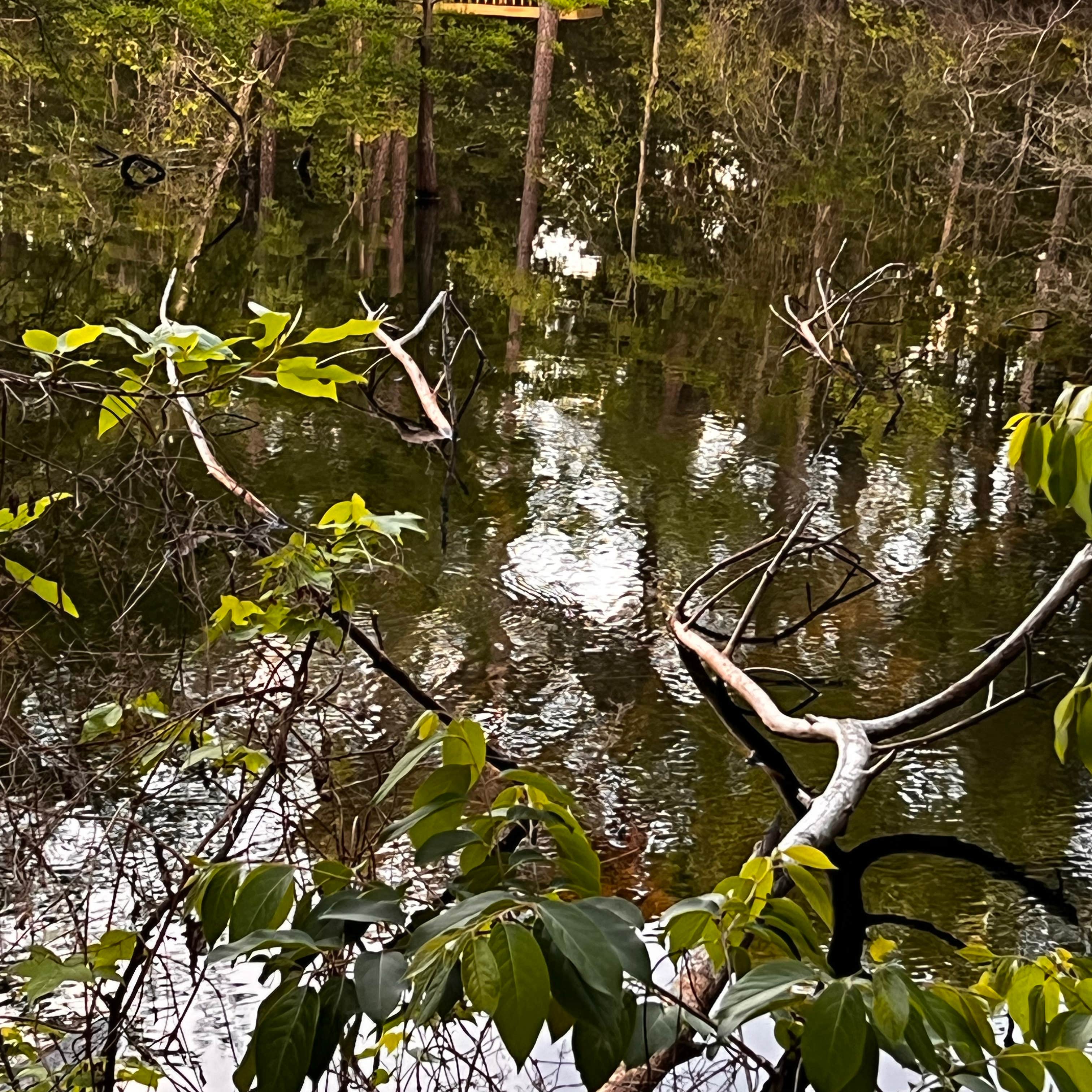 Hideaway RV Park | Jamestown, South Carolina