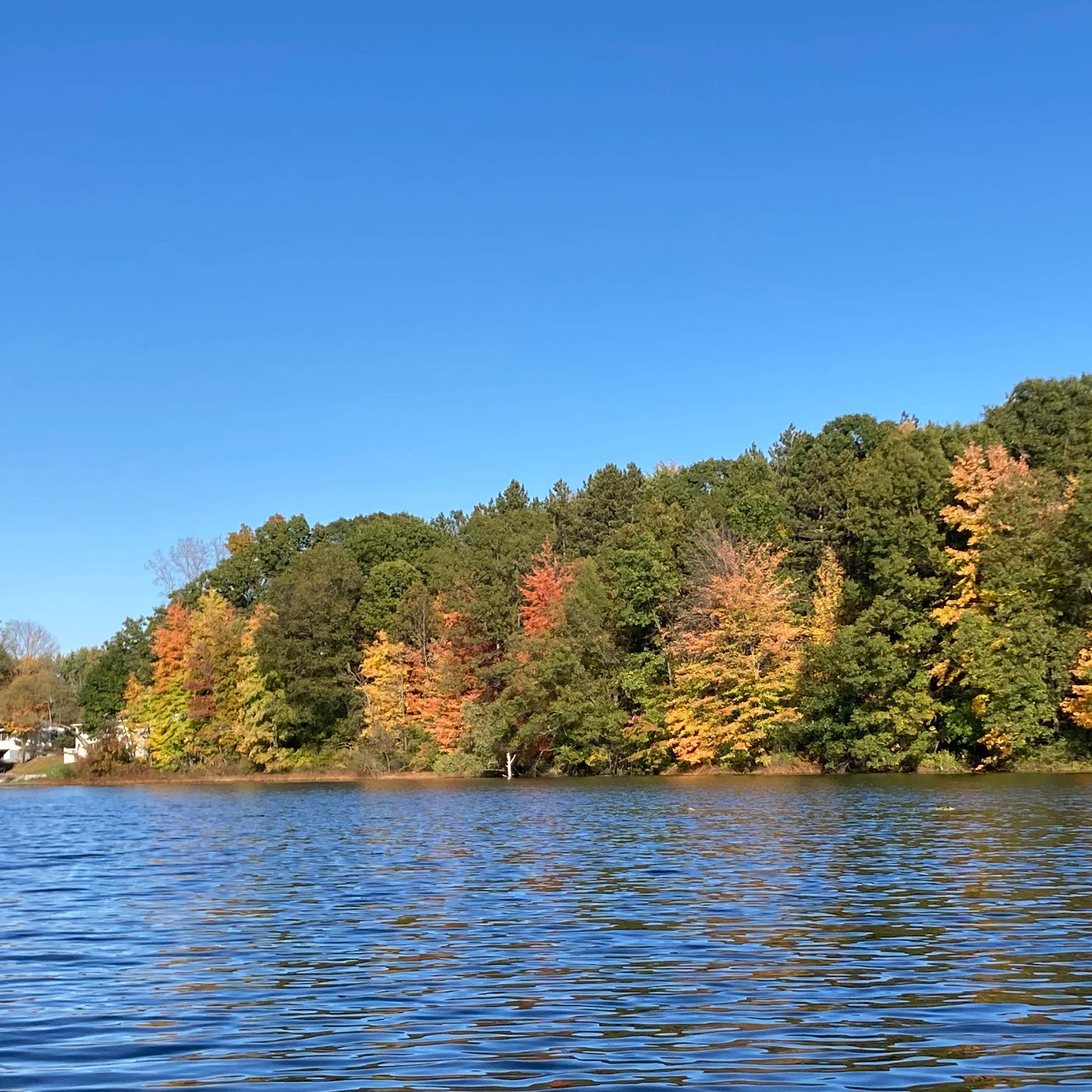 Sharp Park Campground Camping | The Dyrt