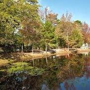 Big Timber Campground Camping | The Dyrt