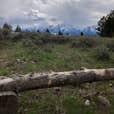 Upper Teton View Dispersed Camping | The Dyrt