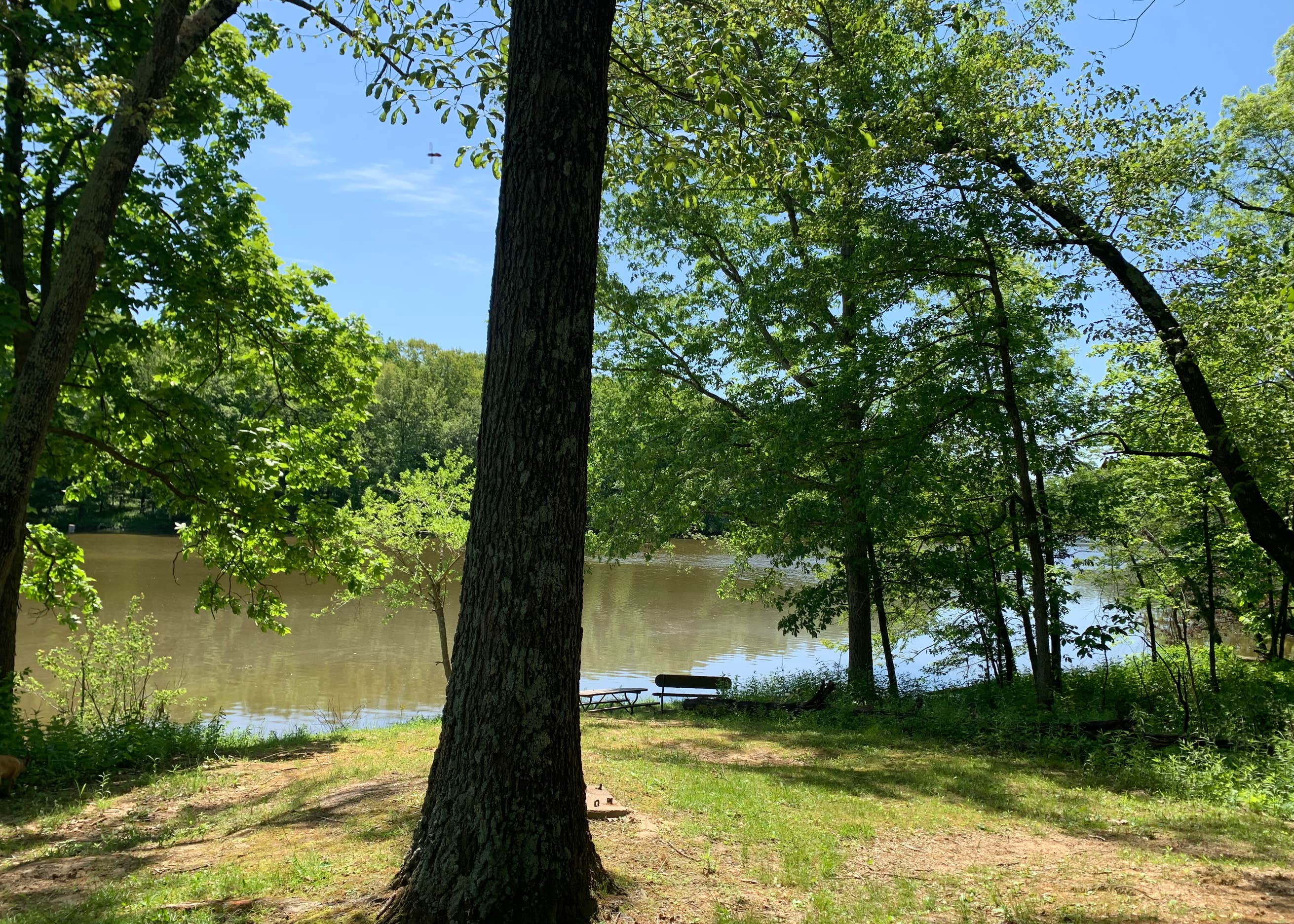 Sam Parr State Park Camping | The Dyrt