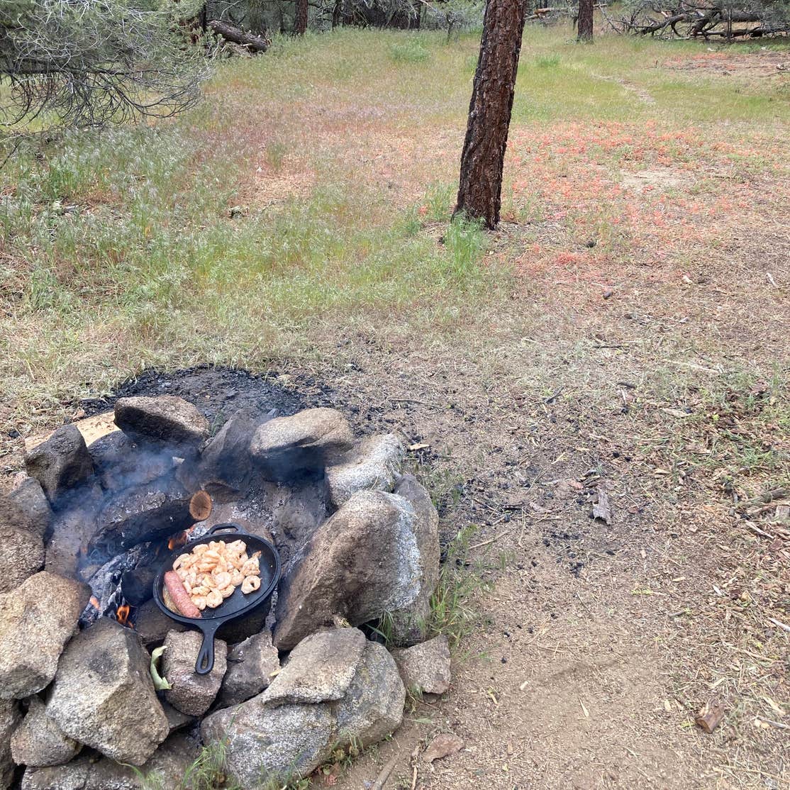 Cherry Creek Campground | Frazier Park, California