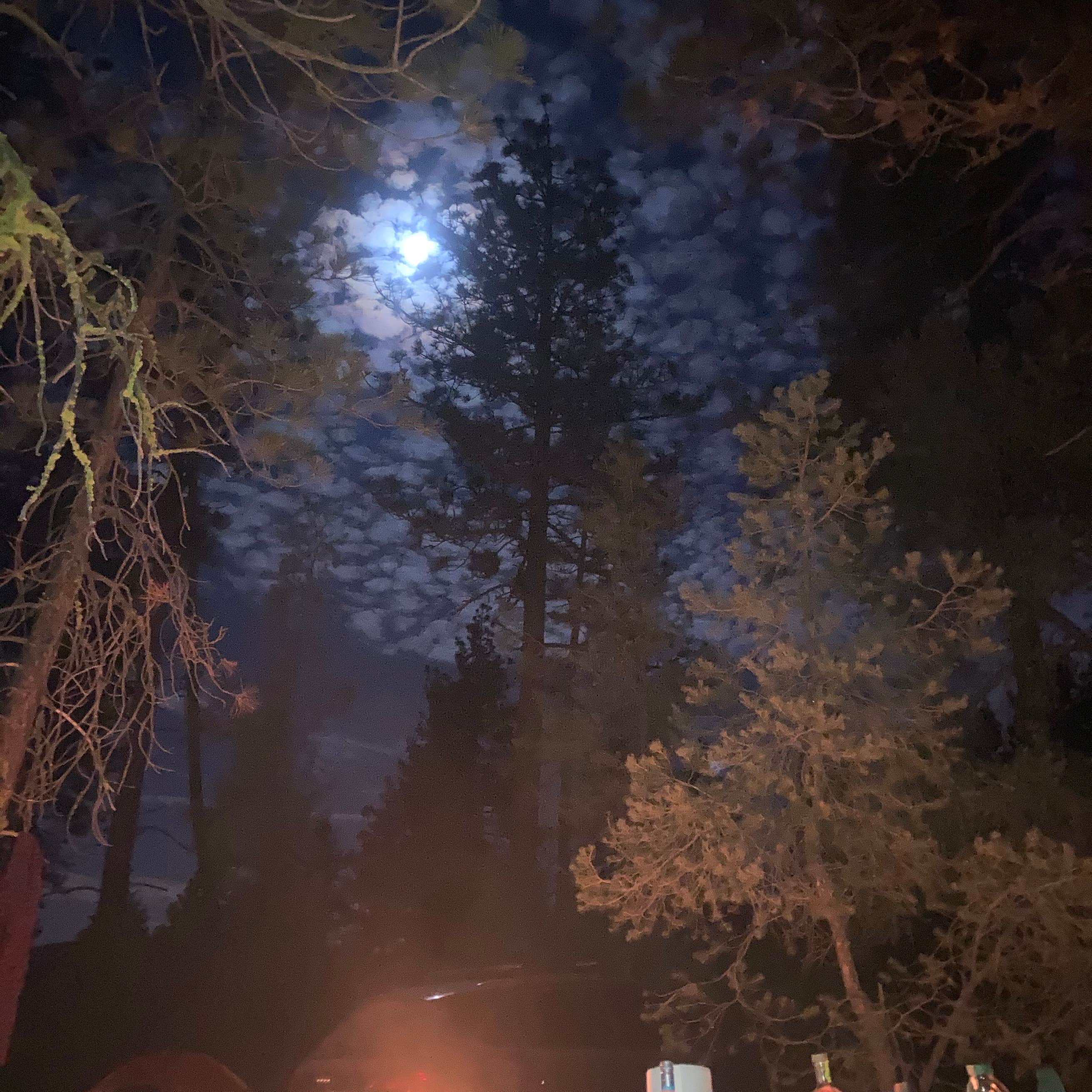 Cherry Creek Campground | Frazier Park, California