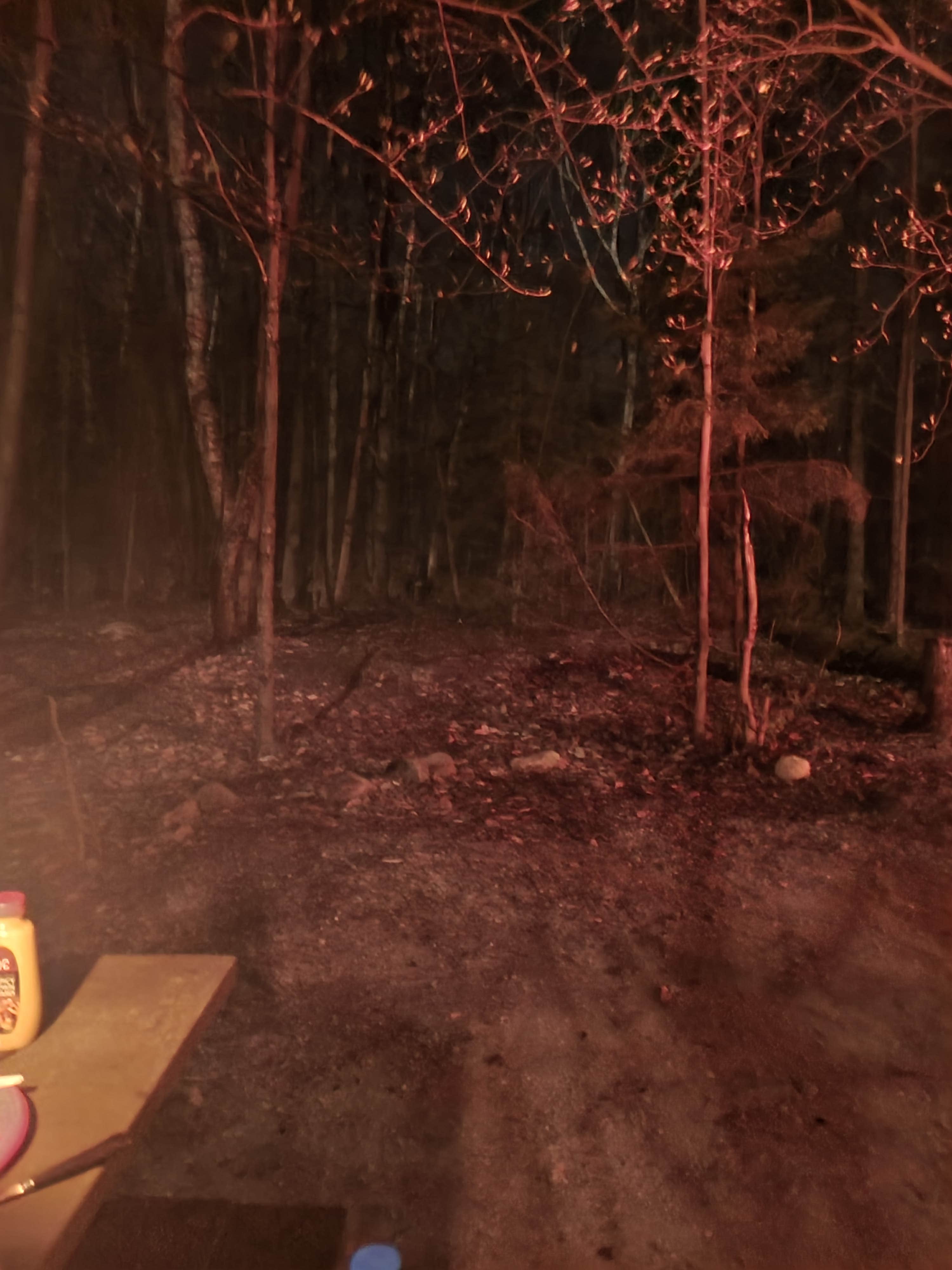 Baker River Campground | Rumney, New Hampshire