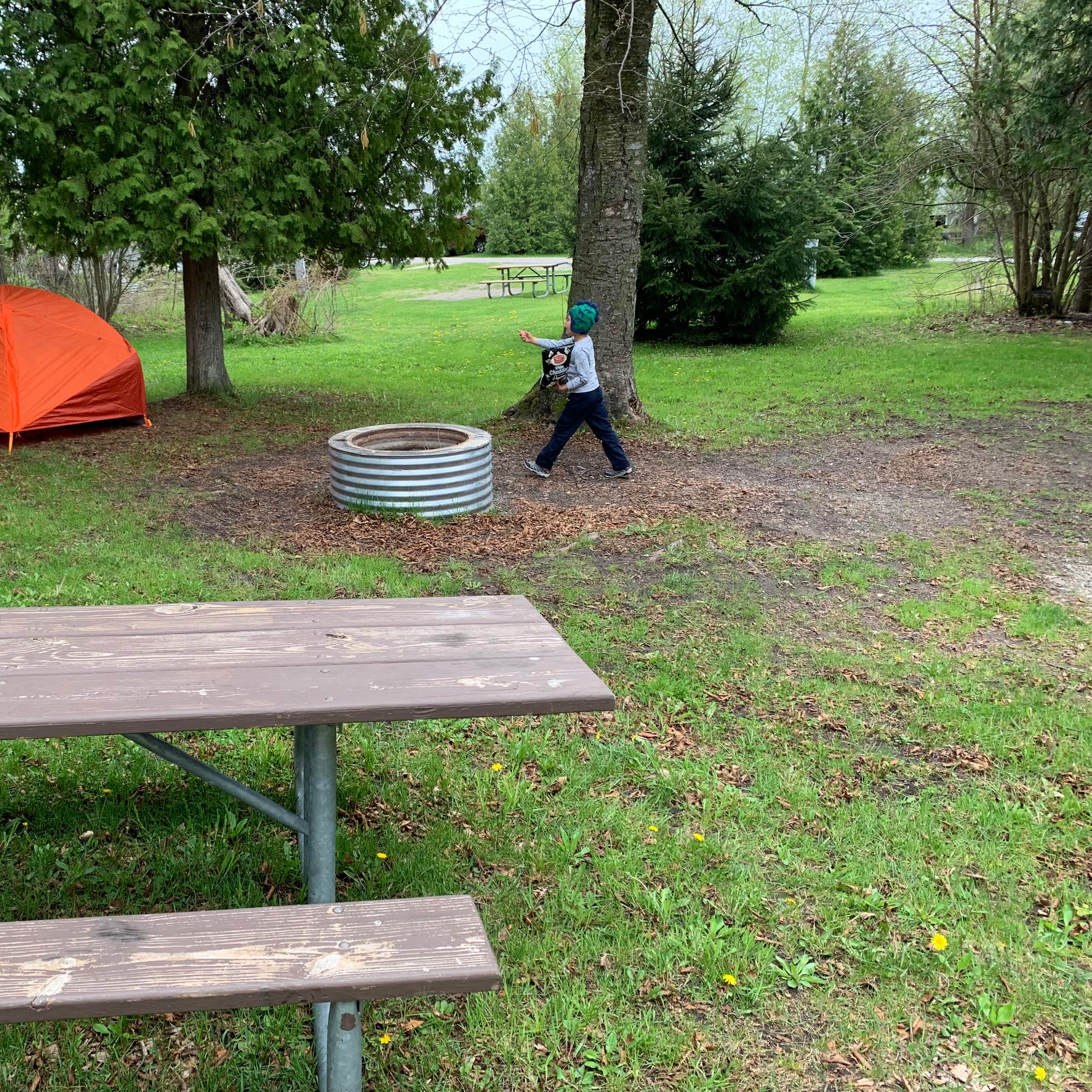 Harrisville State Park Campground | Harrisville, Michigan