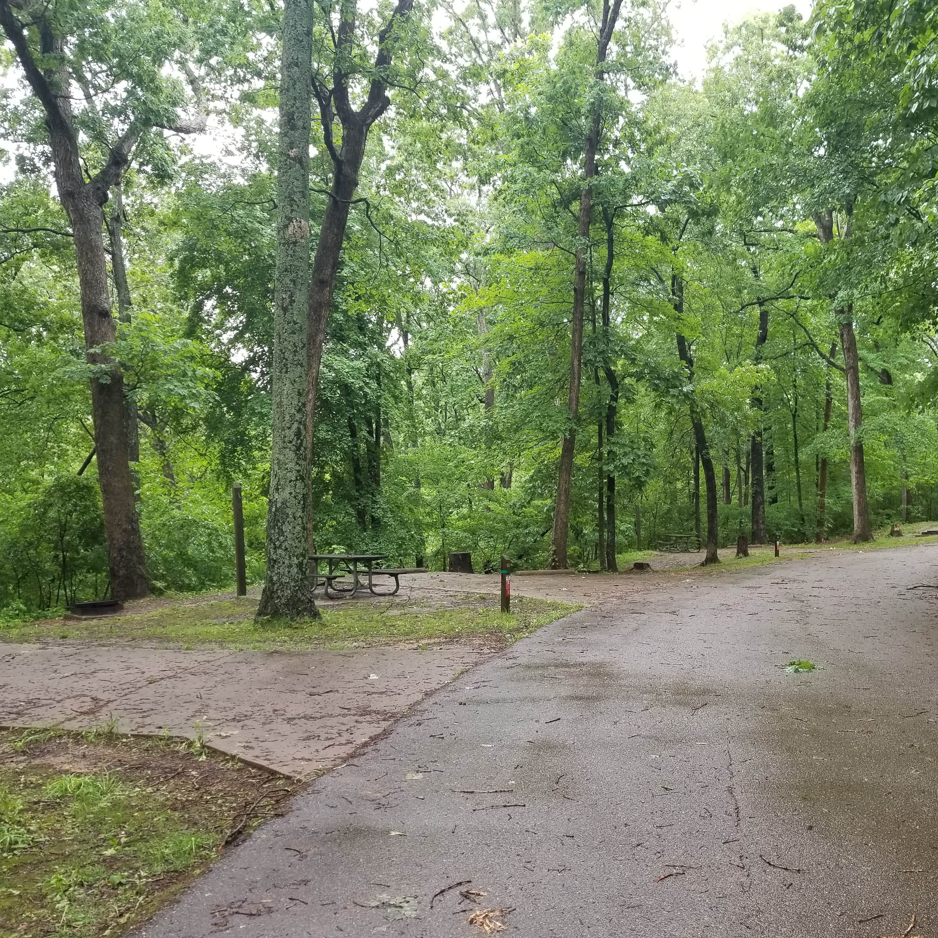 Dr. Edmund A. Babler Memorial State Park Campground | Wildwood, Missouri