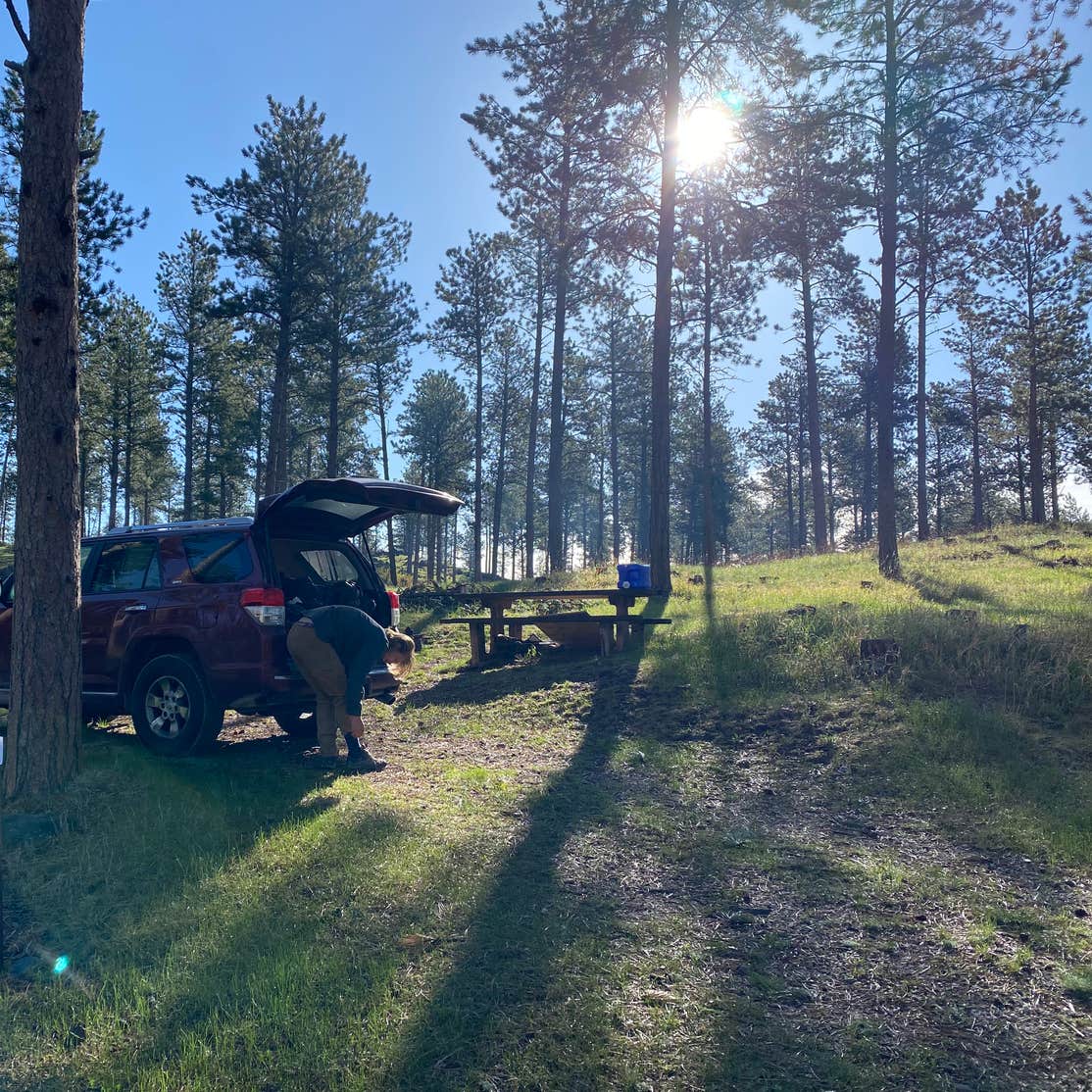 Comanche Park Camping | Custer, South Dakota