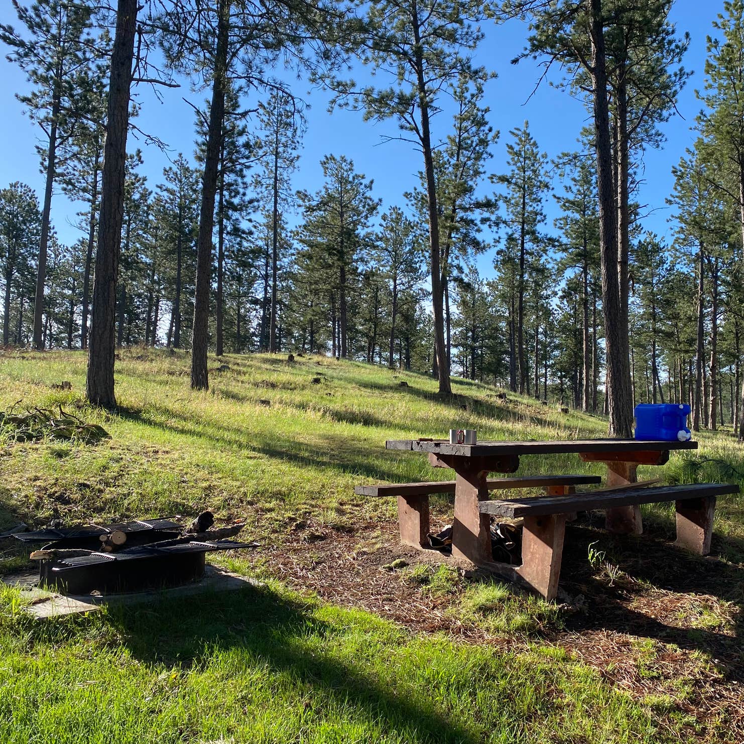 Comanche Park Camping | Custer, South Dakota
