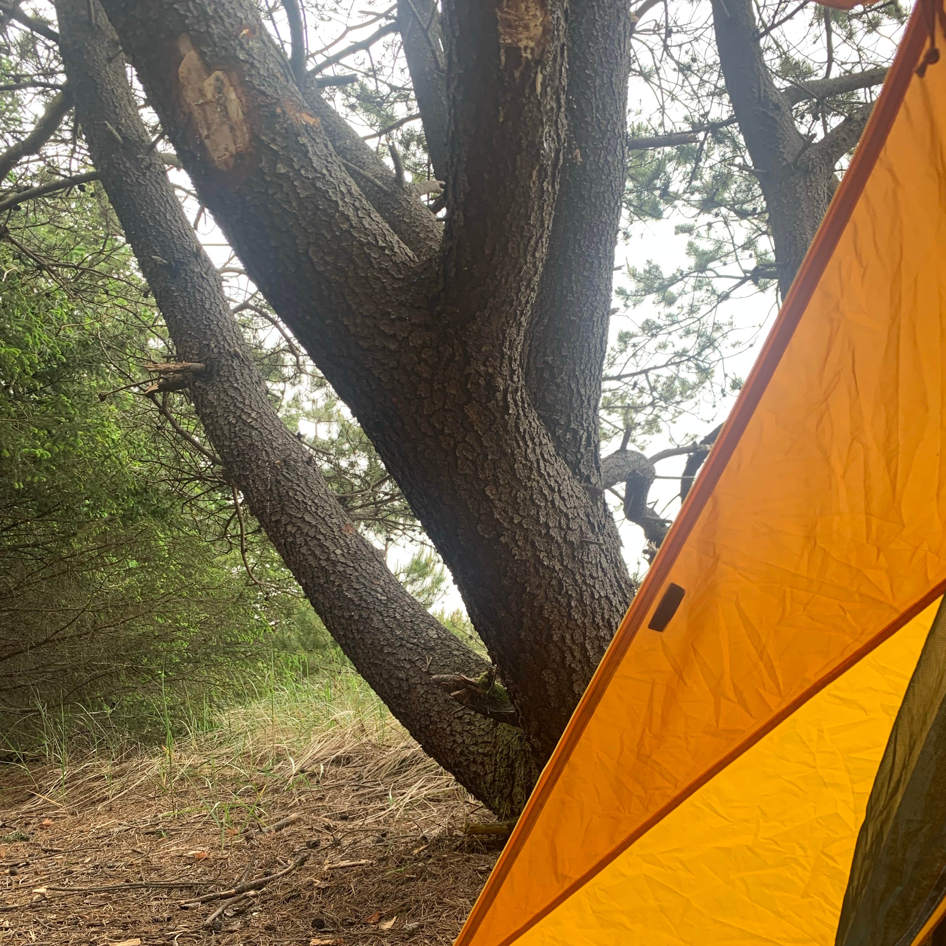 The Lamp Camp | Long Beach, WA